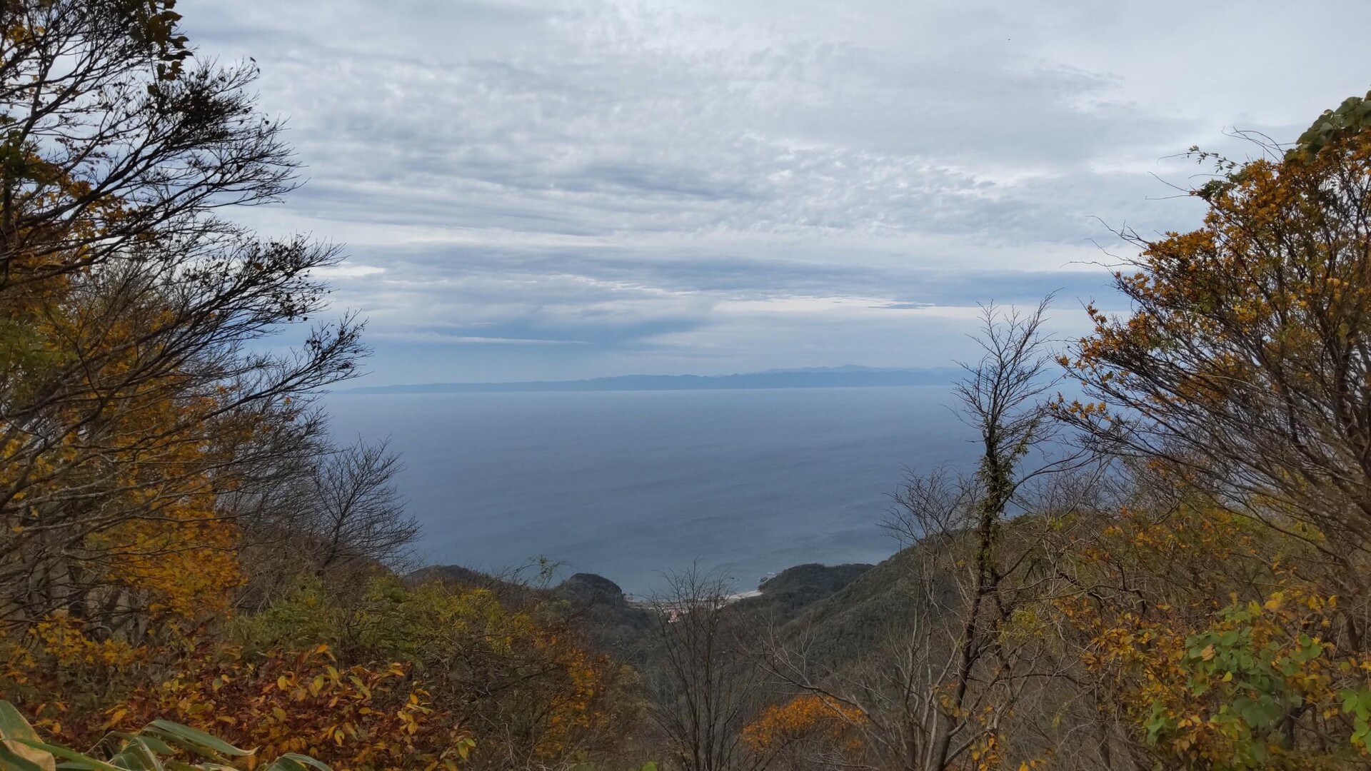 弥彦山 / mamoさんの弥彦山・多宝山・雨乞山の活動データ | YAMAP / ヤマップ