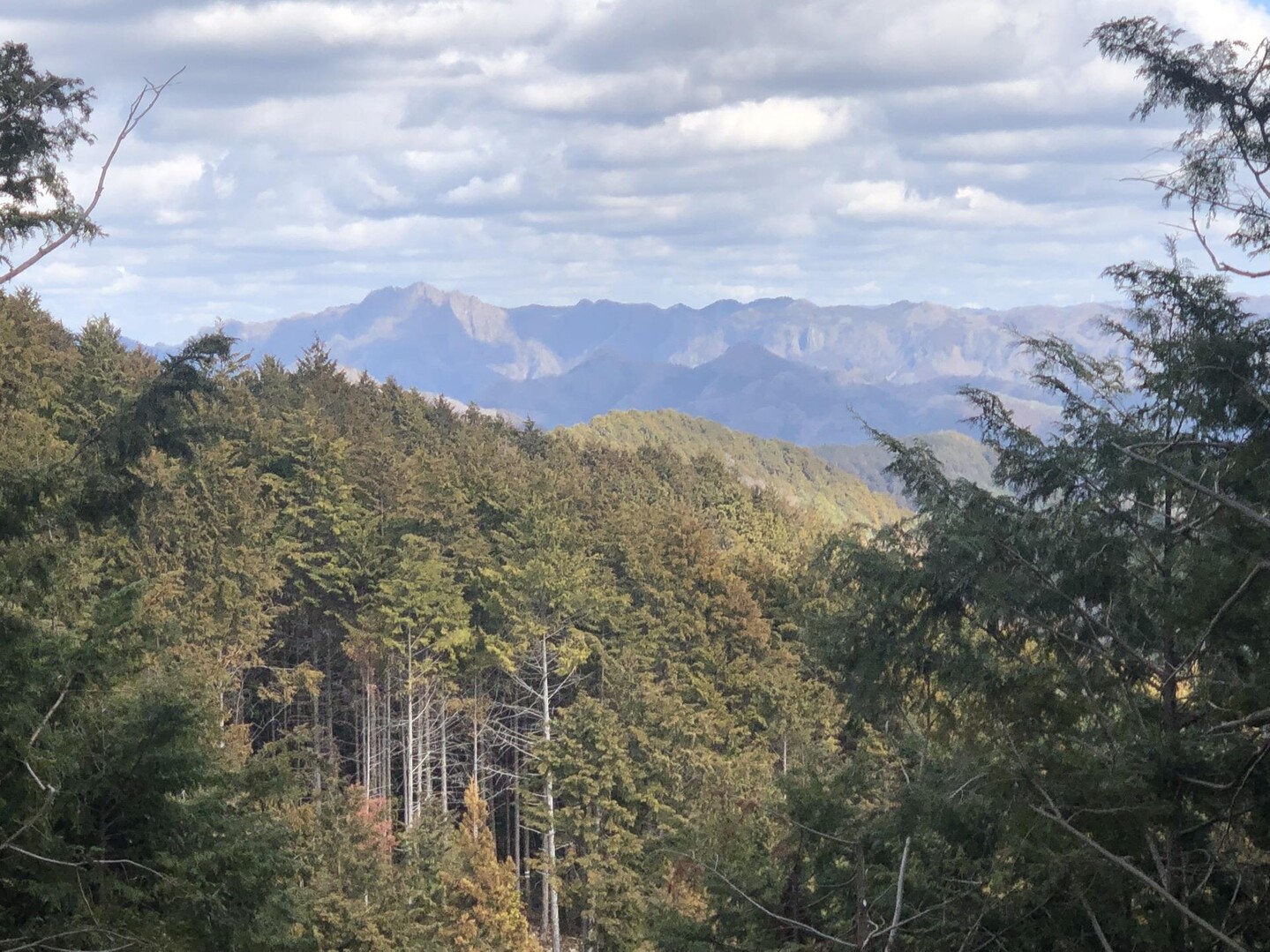 赤城山・陰陽山 / Yasさんの陰陽山の活動データ | YAMAP / ヤマップ