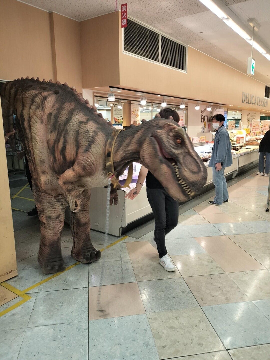 『県央イオン』『恐竜』 『11月26日』... / nontan さんのモーメント | YAMAP / ヤマップ