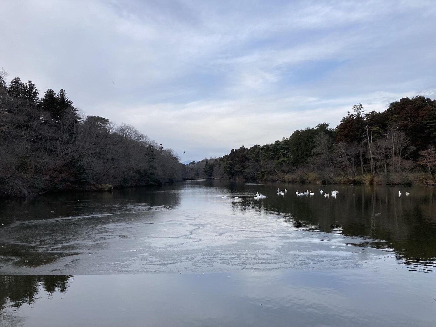 こんにちは^ ^ 今日は風が強く雲も多... / OBsunさんのモーメント | YAMAP / ヤマップ