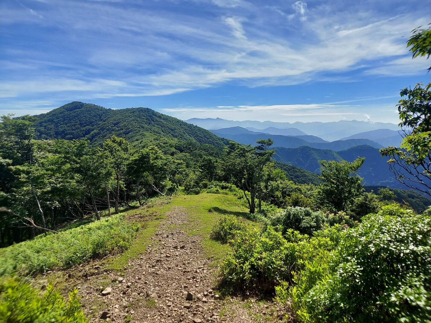 奥高野から～絶景の山並み🗻 / ree-koさんの伯母子岳の活動データ | YAMAP / ヤマップ