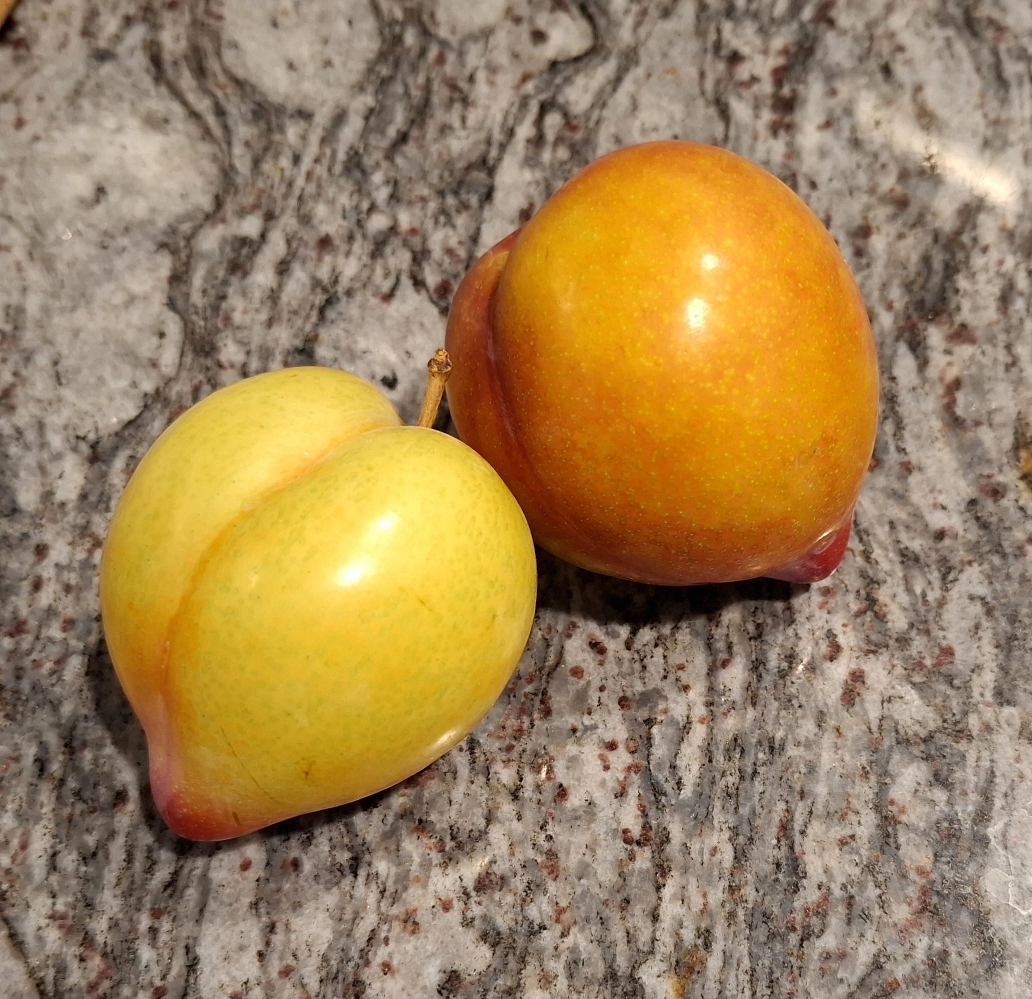 「DOMO」終了と新機能について htt... / ケロさんのモーメント | YAMAP / ヤマップ