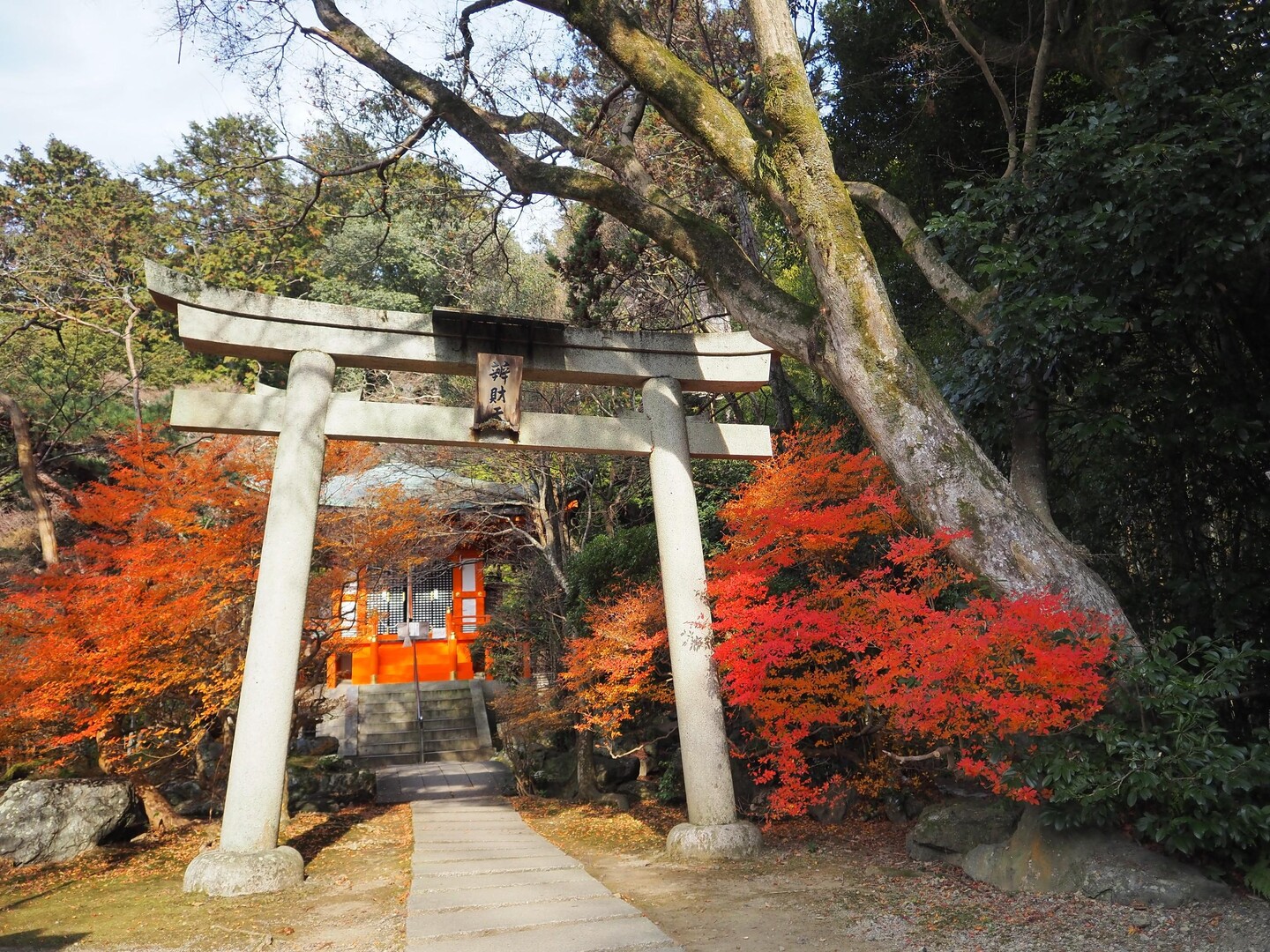 2025.01.04(土) 15:13 / のりすさんのモーメント | YAMAP / ヤマップ