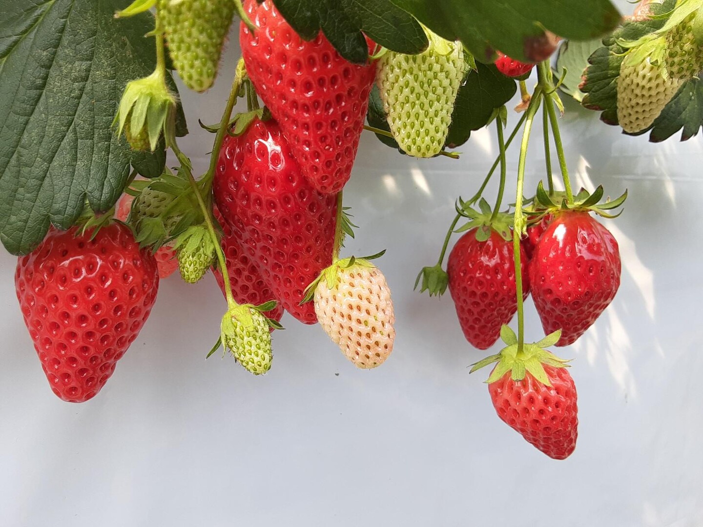 いつの休みに行ったのか、覚えてないけど ... / taka坊主さんのモーメント | YAMAP / ヤマップ