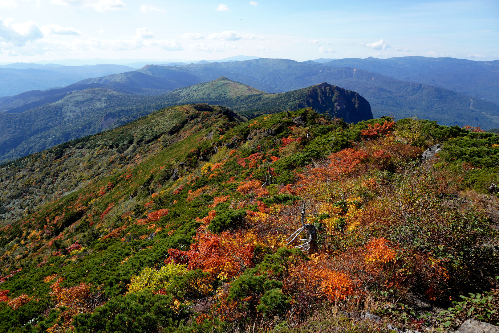 網張から鬼ヶ城 / mirinさんの岩手山・黒倉山・鞍掛山の活動データ | YAMAP / ヤマップ
