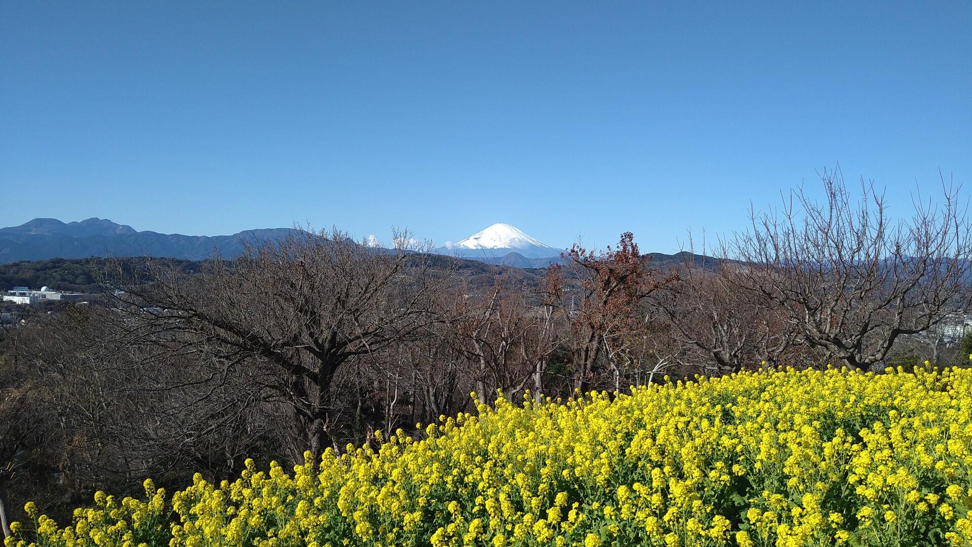 吾妻山 / Mixさんの弘法山の活動データ | YAMAP / ヤマップ