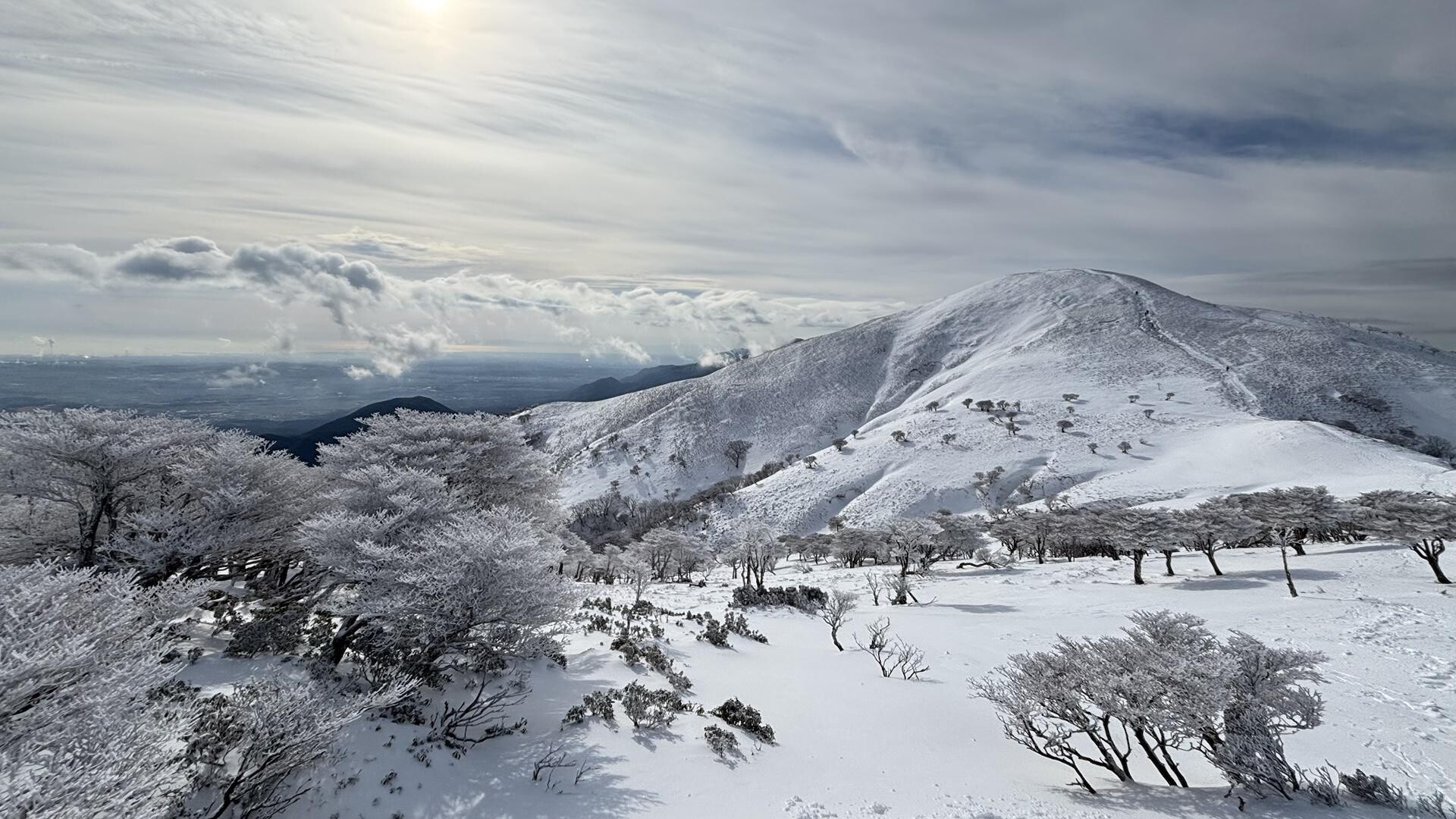 竜ヶ岳 / tsuさんの竜ヶ岳の活動データ | YAMAP / ヤマップ
