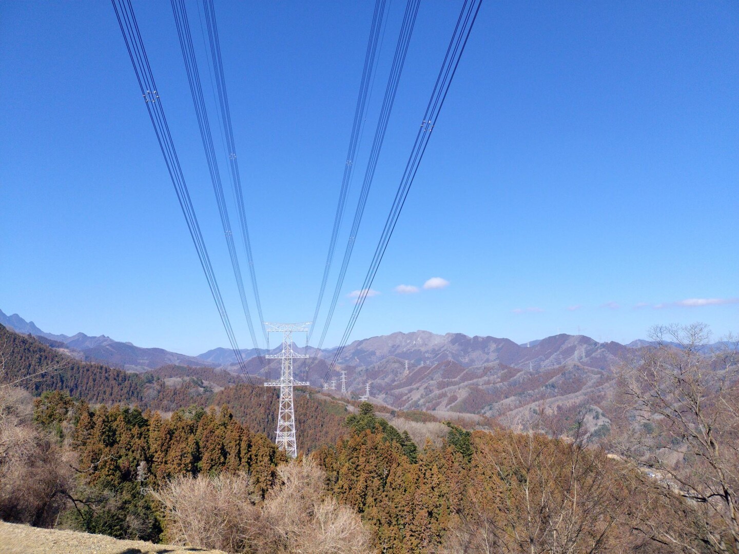 四阿[屋]山、節分草園 / マコト from team teadaさんの四阿屋山の活動データ | YAMAP / ヤマップ