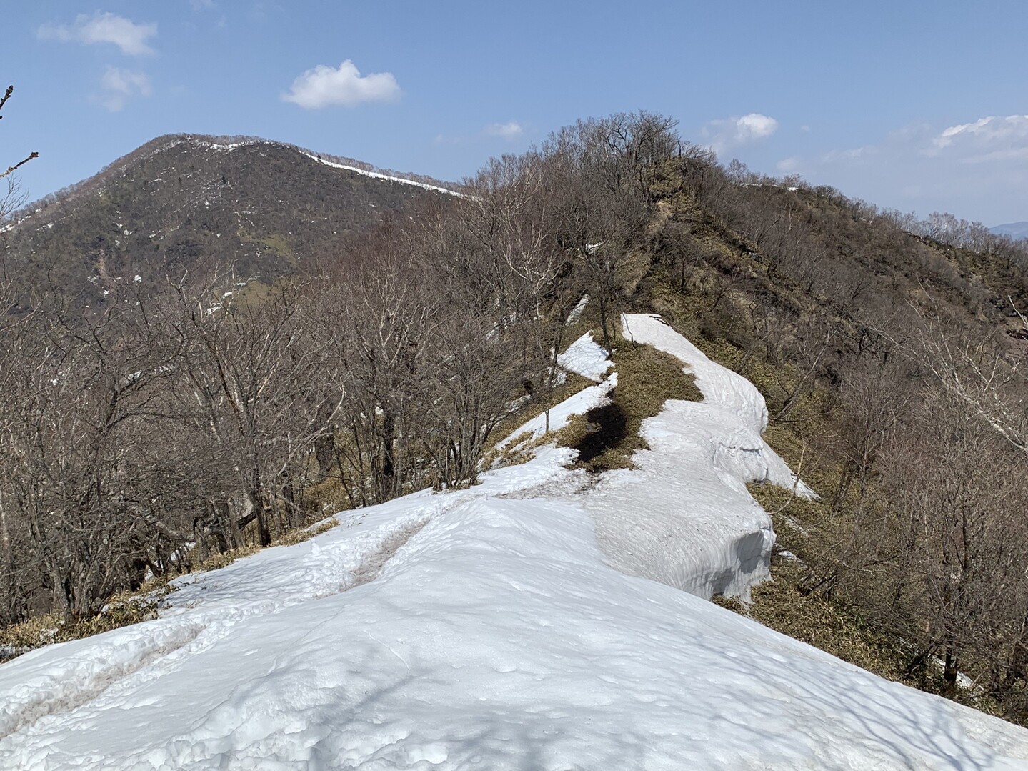 nkakさんの投稿したフィールドメモ | YAMAP / ヤマップ