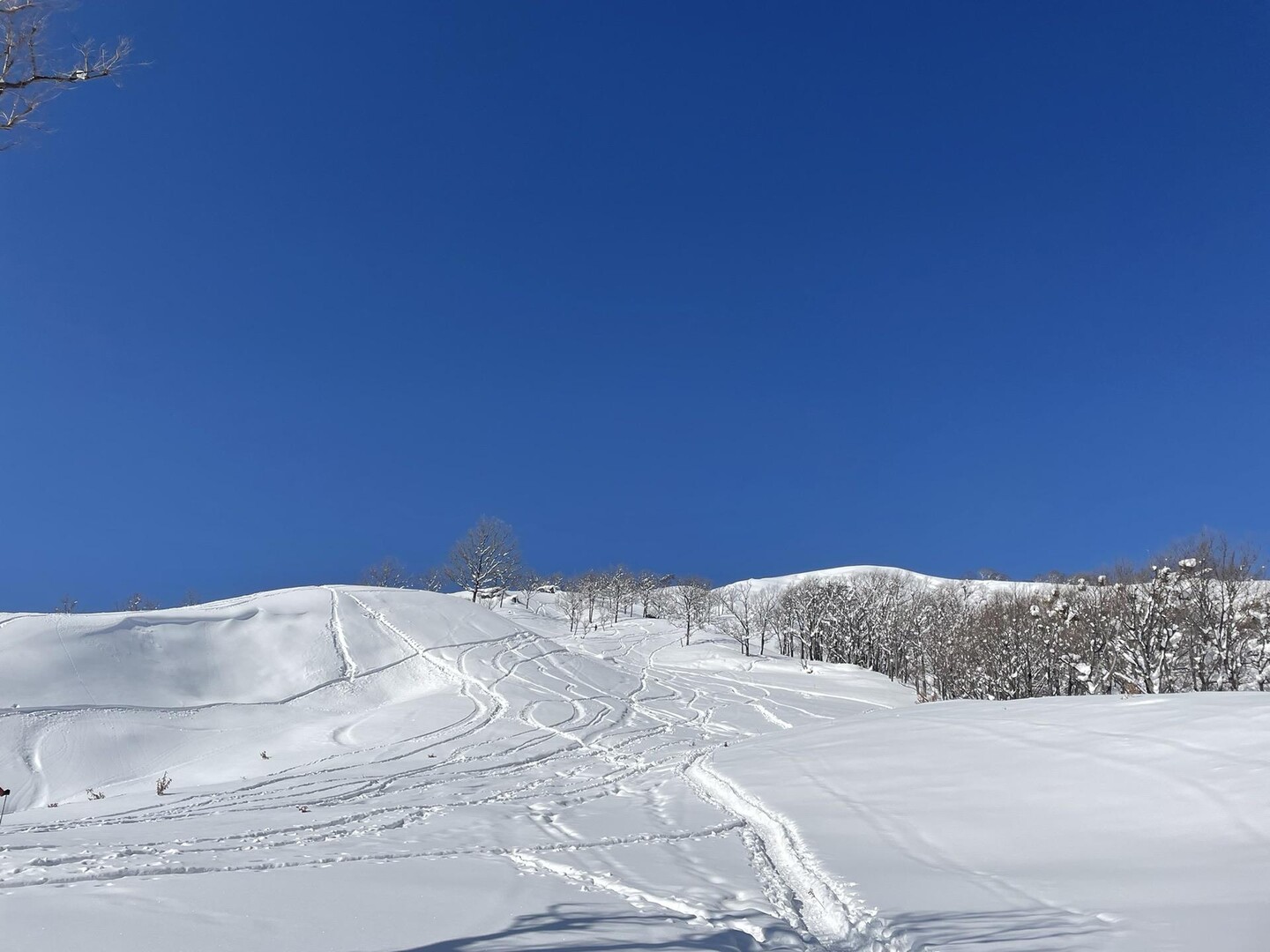 深入山BC④ / kenjiさんの深入山の活動データ | YAMAP / ヤマップ