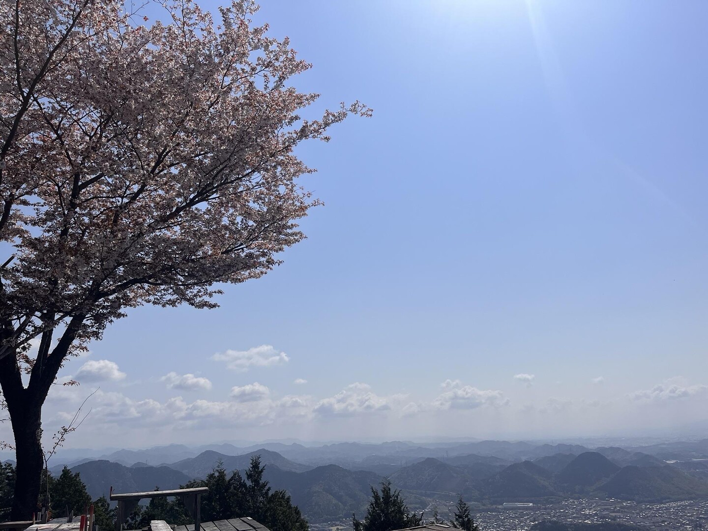 誕生山・白山・天王山 / mokoさんの天王山・誕生山の活動データ | YAMAP / ヤマップ