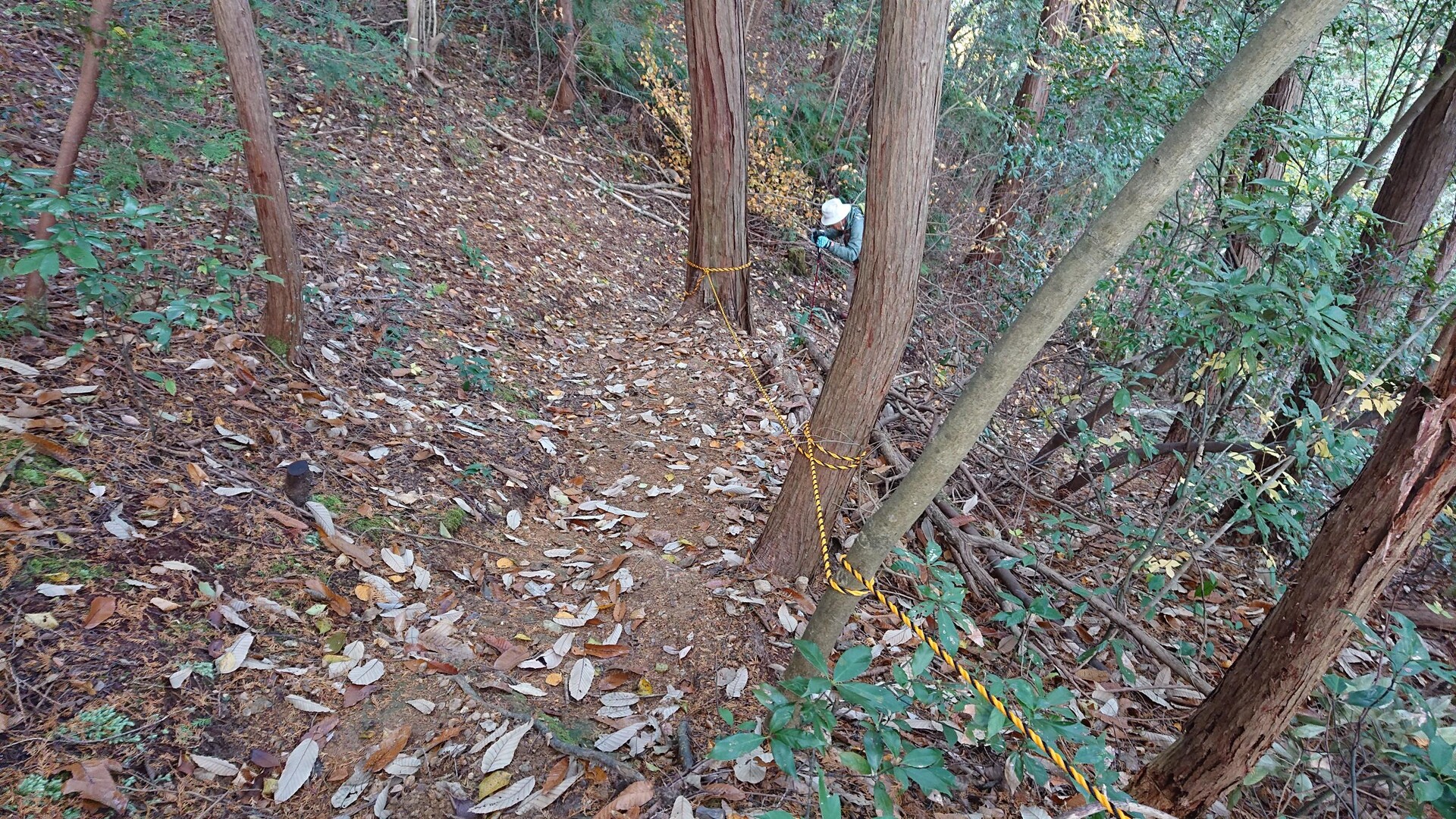 hiyoko🐥さんの投稿したフィールドメモ | YAMAP / ヤマップ