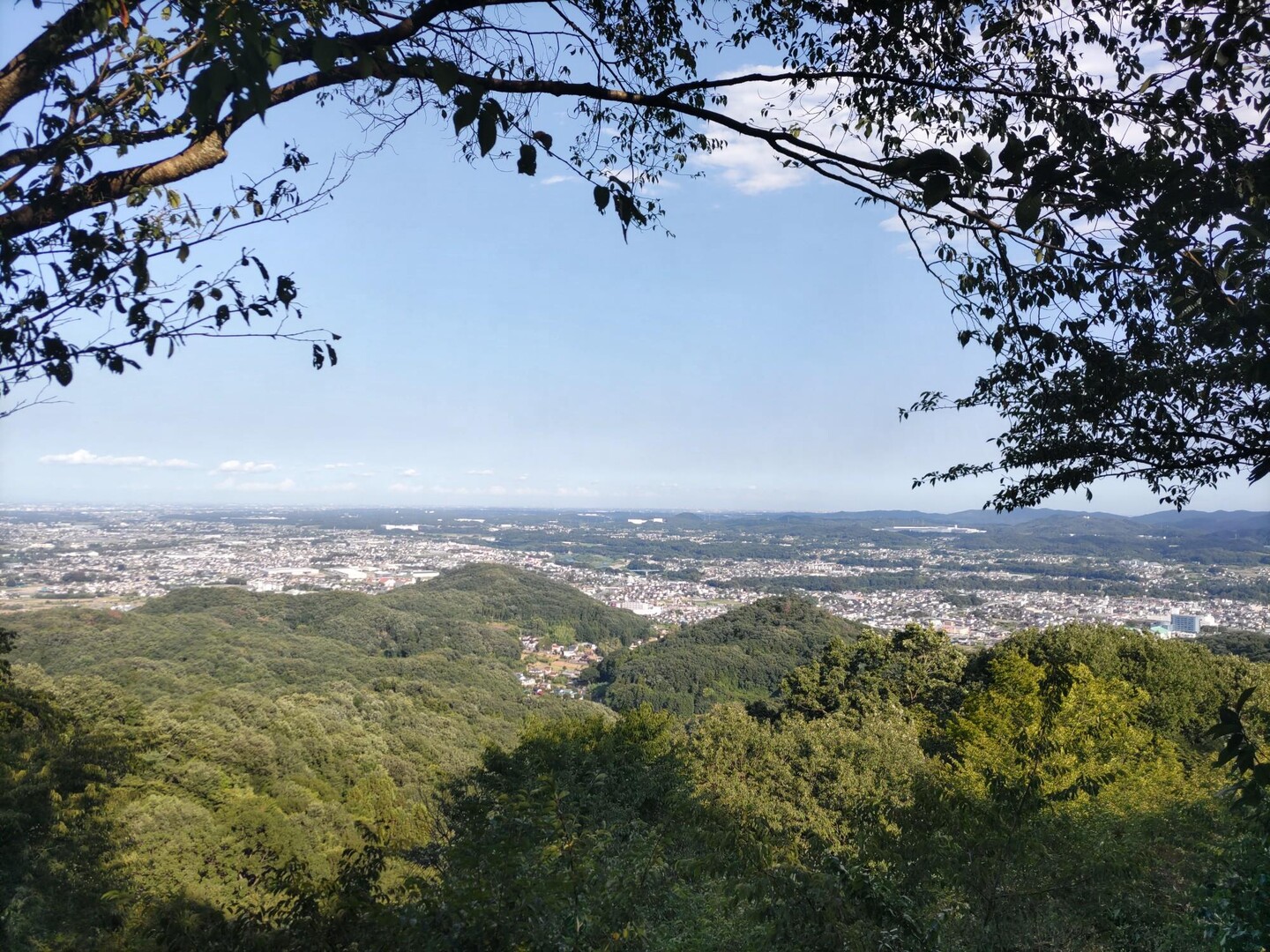 鐘撞堂山 / kaneさんの宝登山・長瀞アルプス・不動山・陣見山・鐘撞堂山の活動データ | YAMAP / ヤマップ