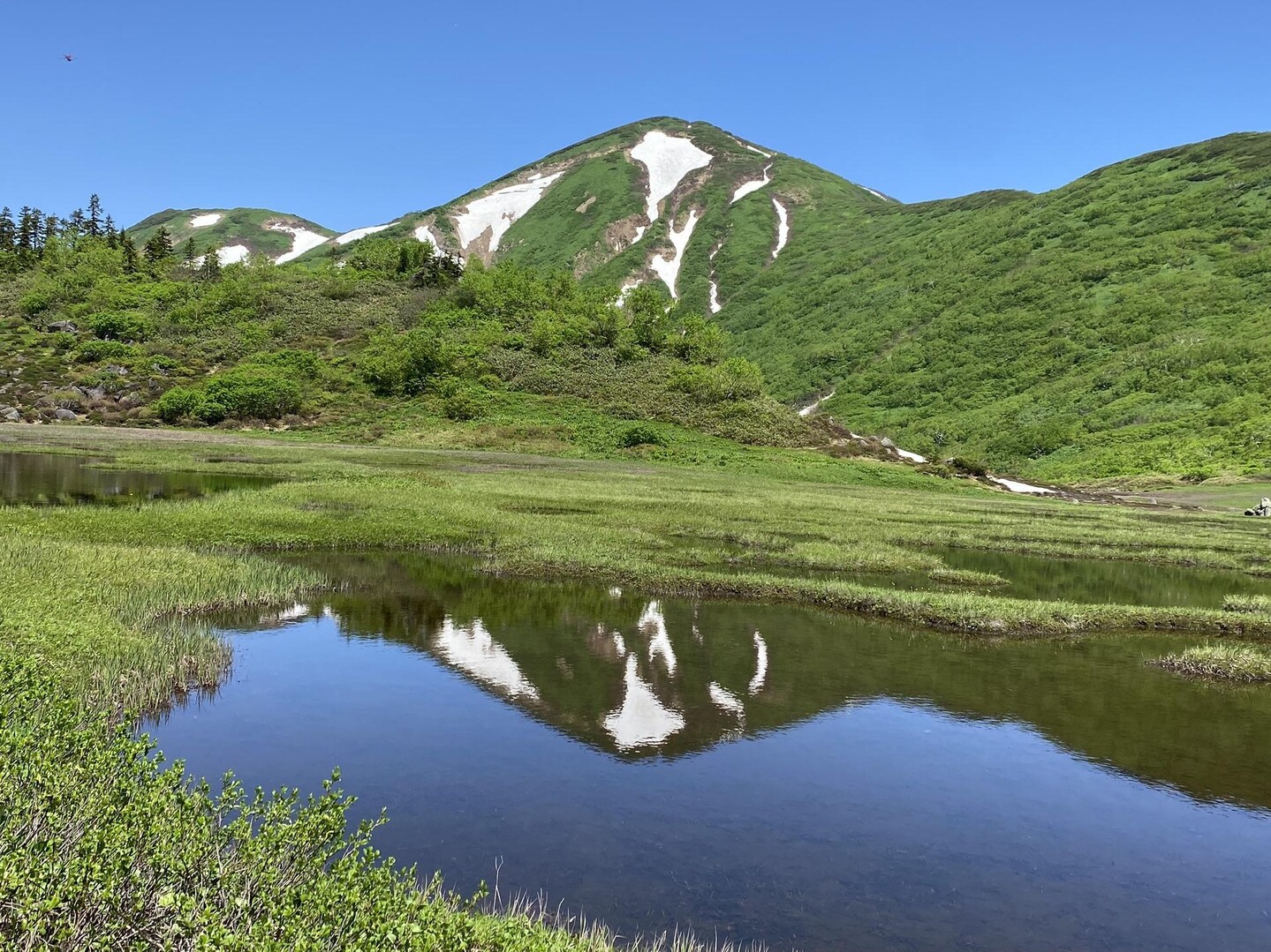 晴天☀️火打山デビュー💐 / zuko@さんの妙高山・火打山の活動データ | YAMAP / ヤマップ