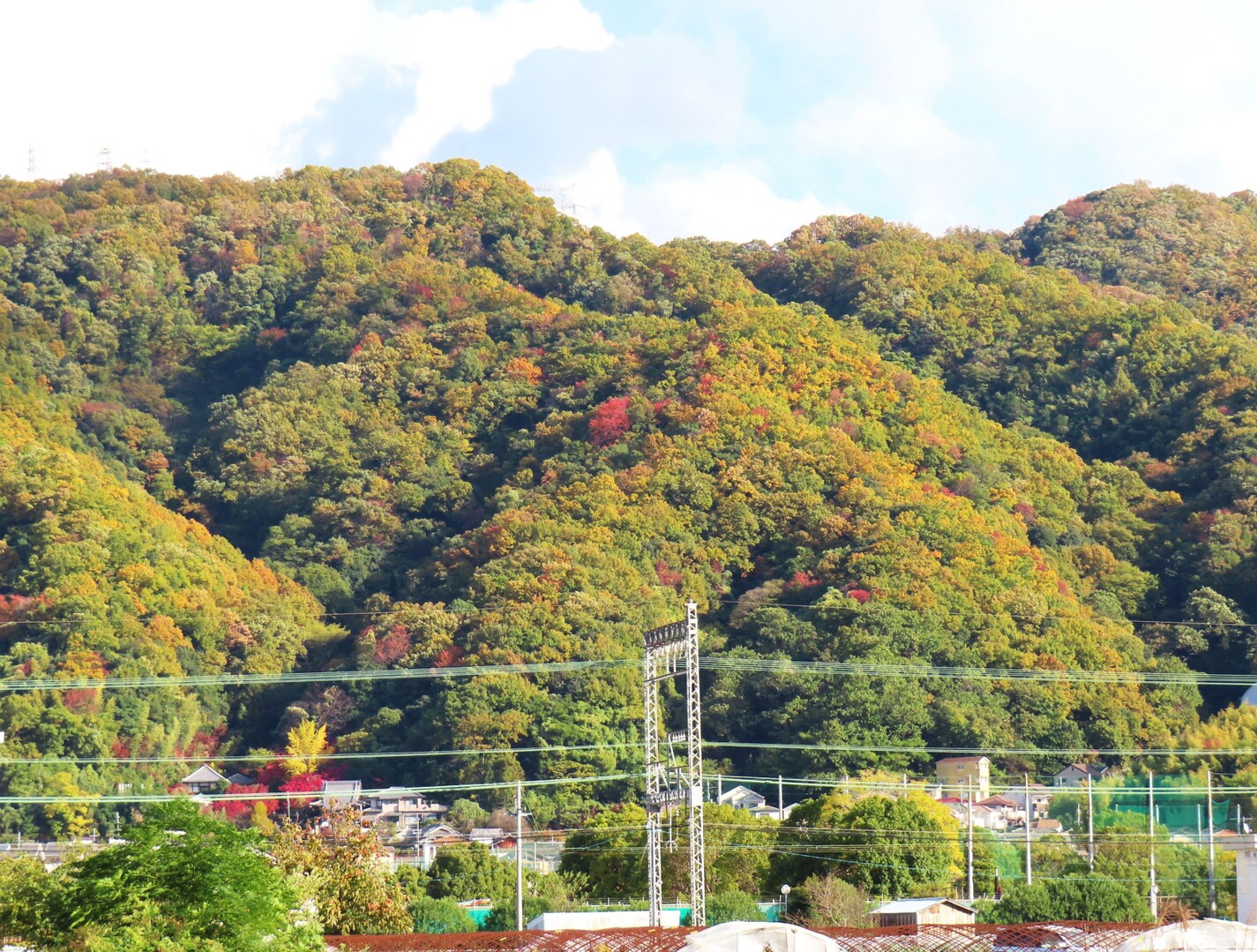 今日は遠出をせずに近くの寺の紅葉の様子を... / Howardさんのモーメント | YAMAP / ヤマップ