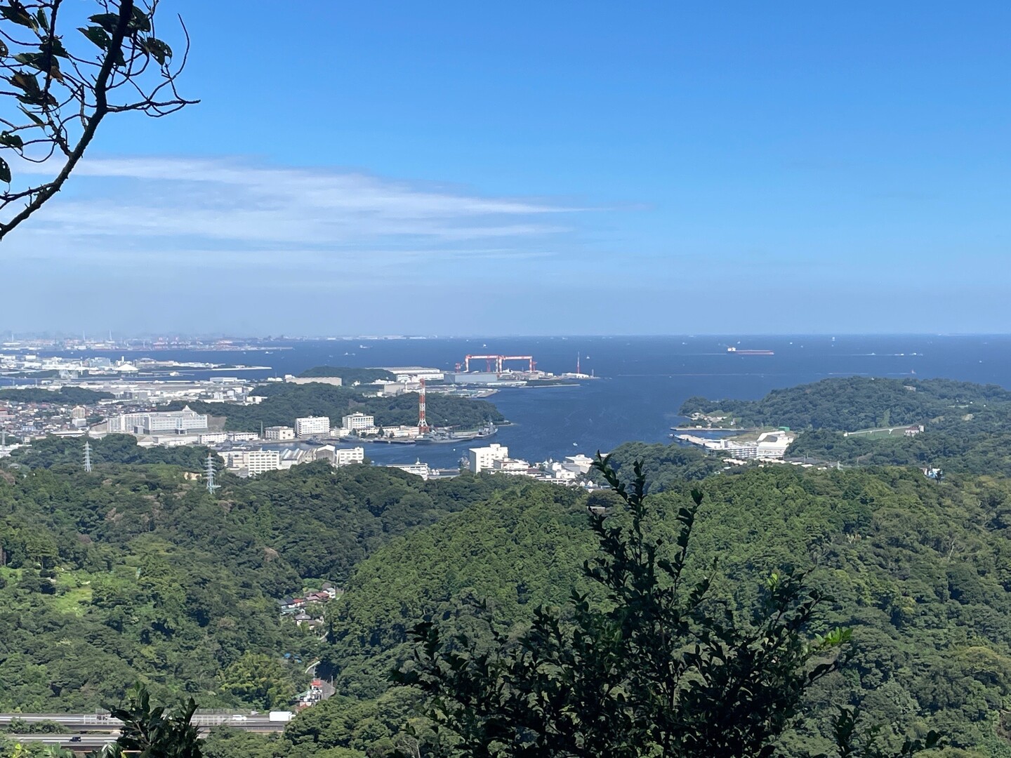 仙元山・ソッカ・観音塚・茅塚・矢落山（乳頭山） / hal0330さんの三浦アルプス・二子山・仙元山の活動データ | YAMAP / ヤマップ