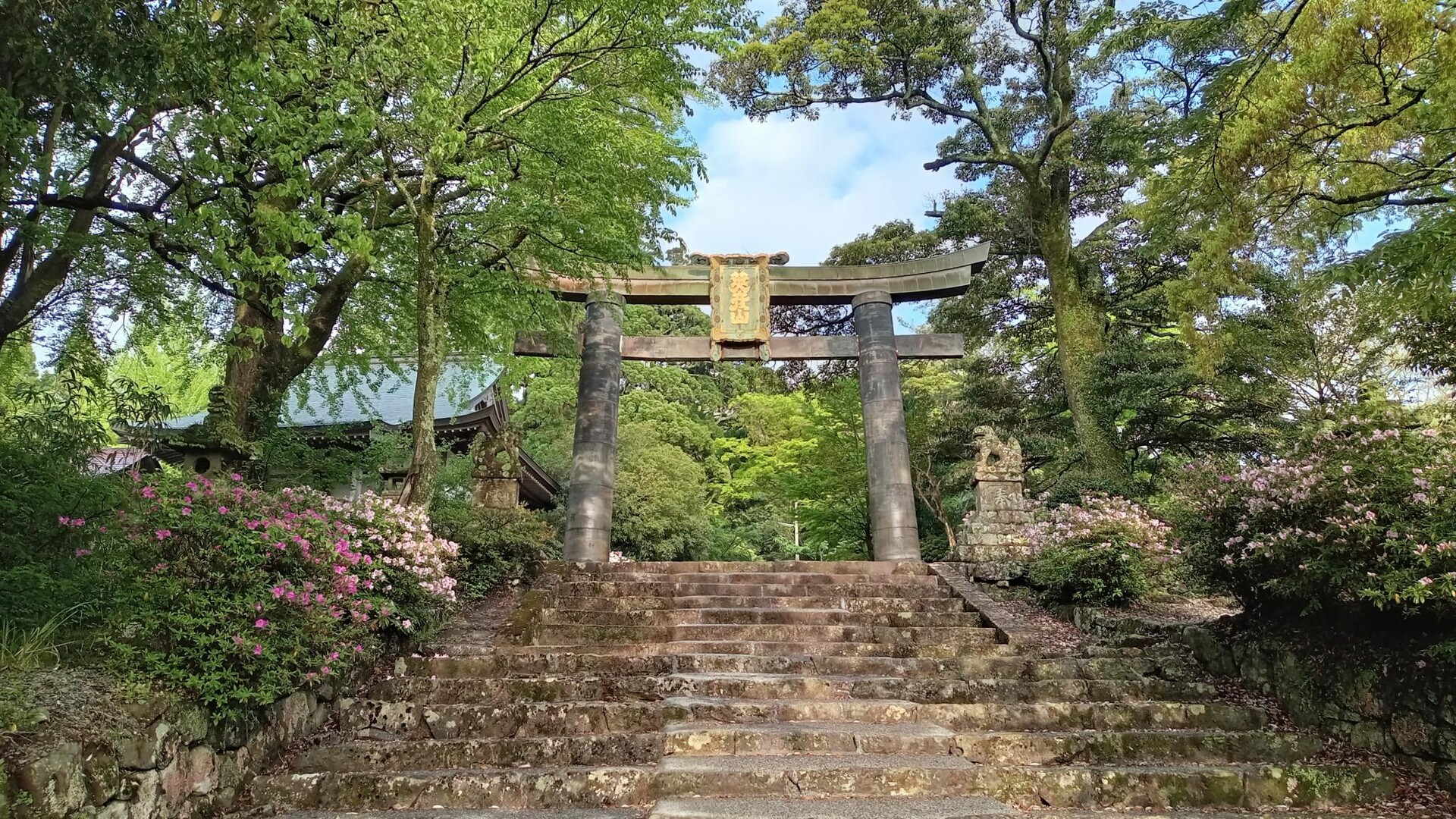 英彦山神宮…登拝。 / macさんの英彦山の活動データ | YAMAP / ヤマップ