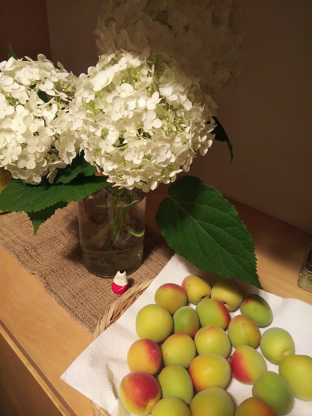 関東甲信越も漸く梅雨入りとなりました🐌... / Yuuki.Yさんのモーメント | YAMAP / ヤマップ