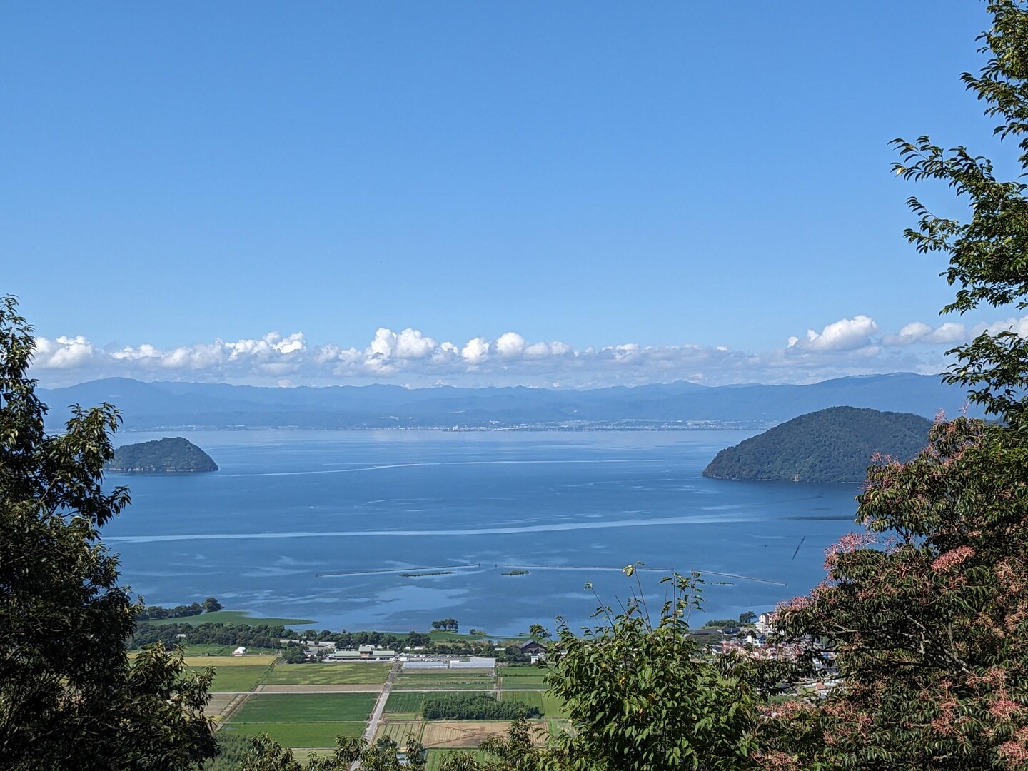 山本山 / kyonさんの賤ヶ岳・山本山の活動データ | YAMAP / ヤマップ