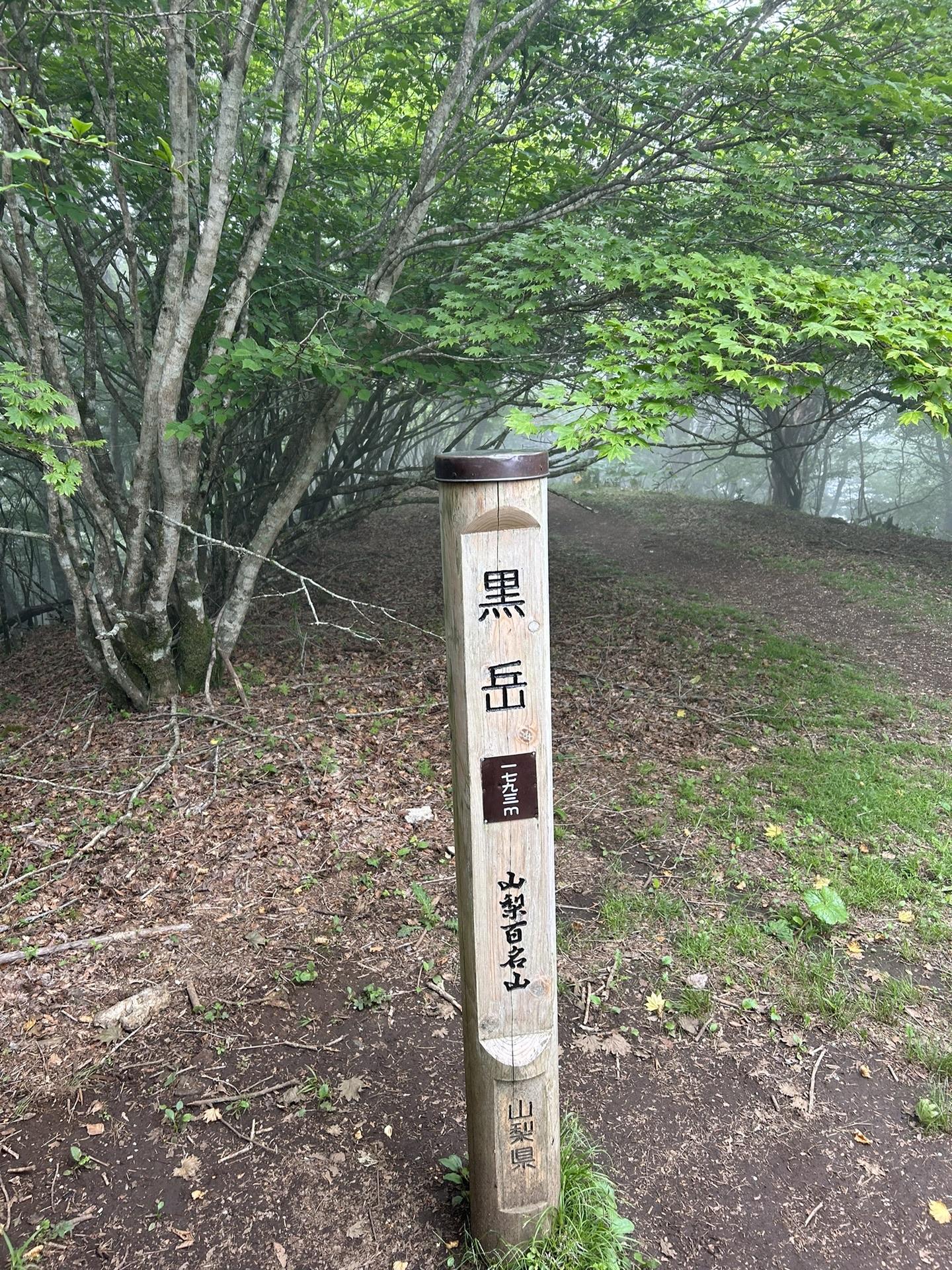 釈迦ヶ岳・大栃山-2023-06-19 / A5ランクさんの釈迦ヶ岳・大栃山の活動データ | YAMAP / ヤマップ