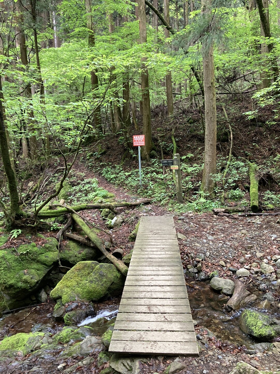 上高岩山に行きました‼️ / こばたろうさんのモーメント | YAMAP / ヤマップ