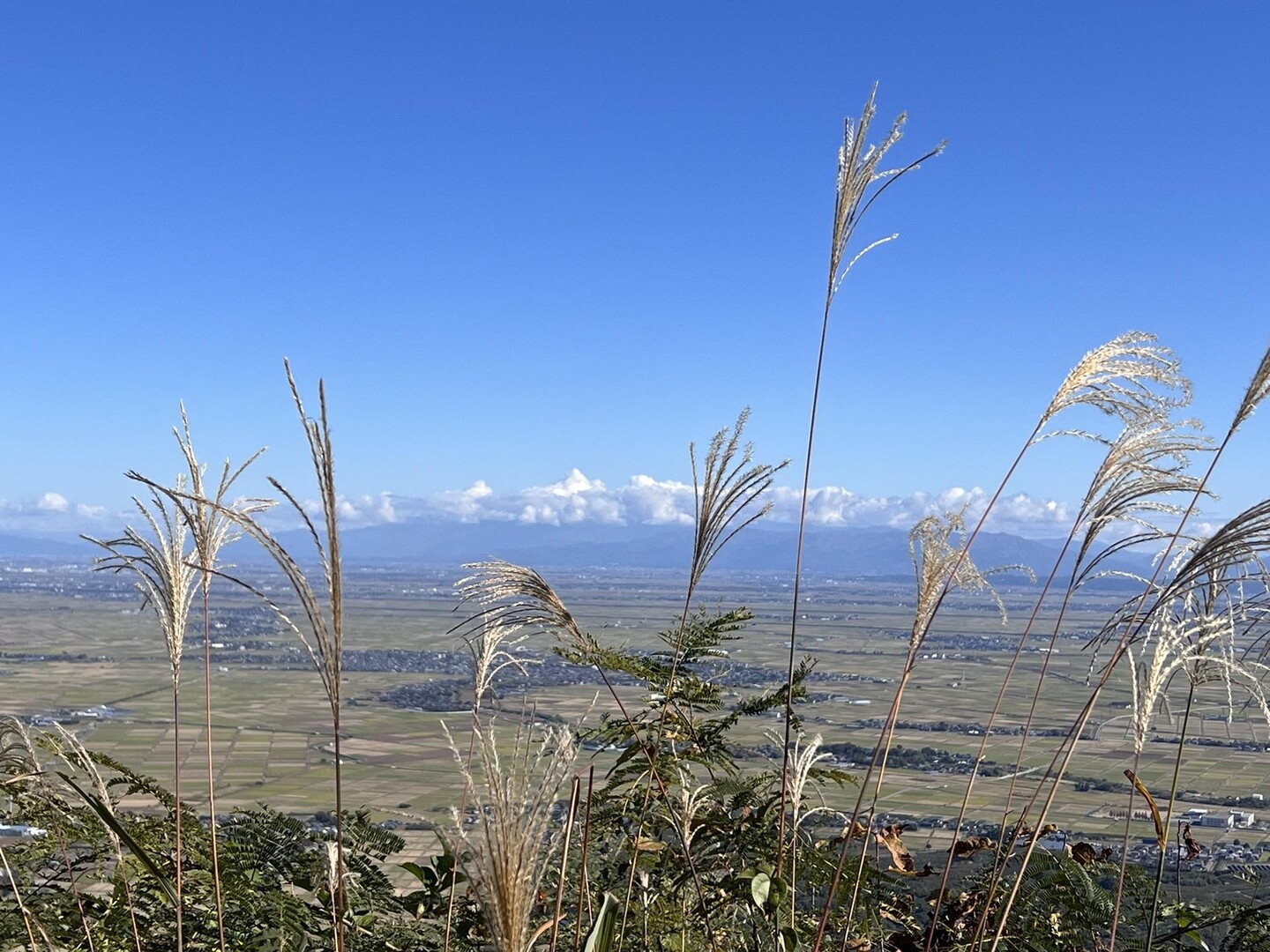 初ソロ登山⛰角田山ほたるの里コース / rirunaoさんの角田山の活動データ | YAMAP / ヤマップ