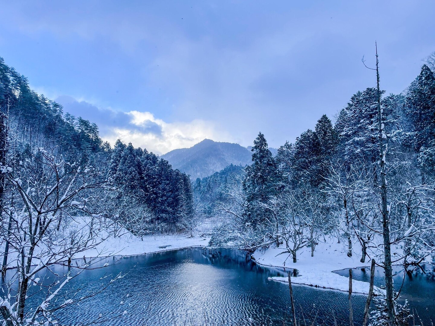 絵に描いたようなまん丸雪だるまチャレンジ... / Tim the Greenbearsさんのモーメント | YAMAP / ヤマップ