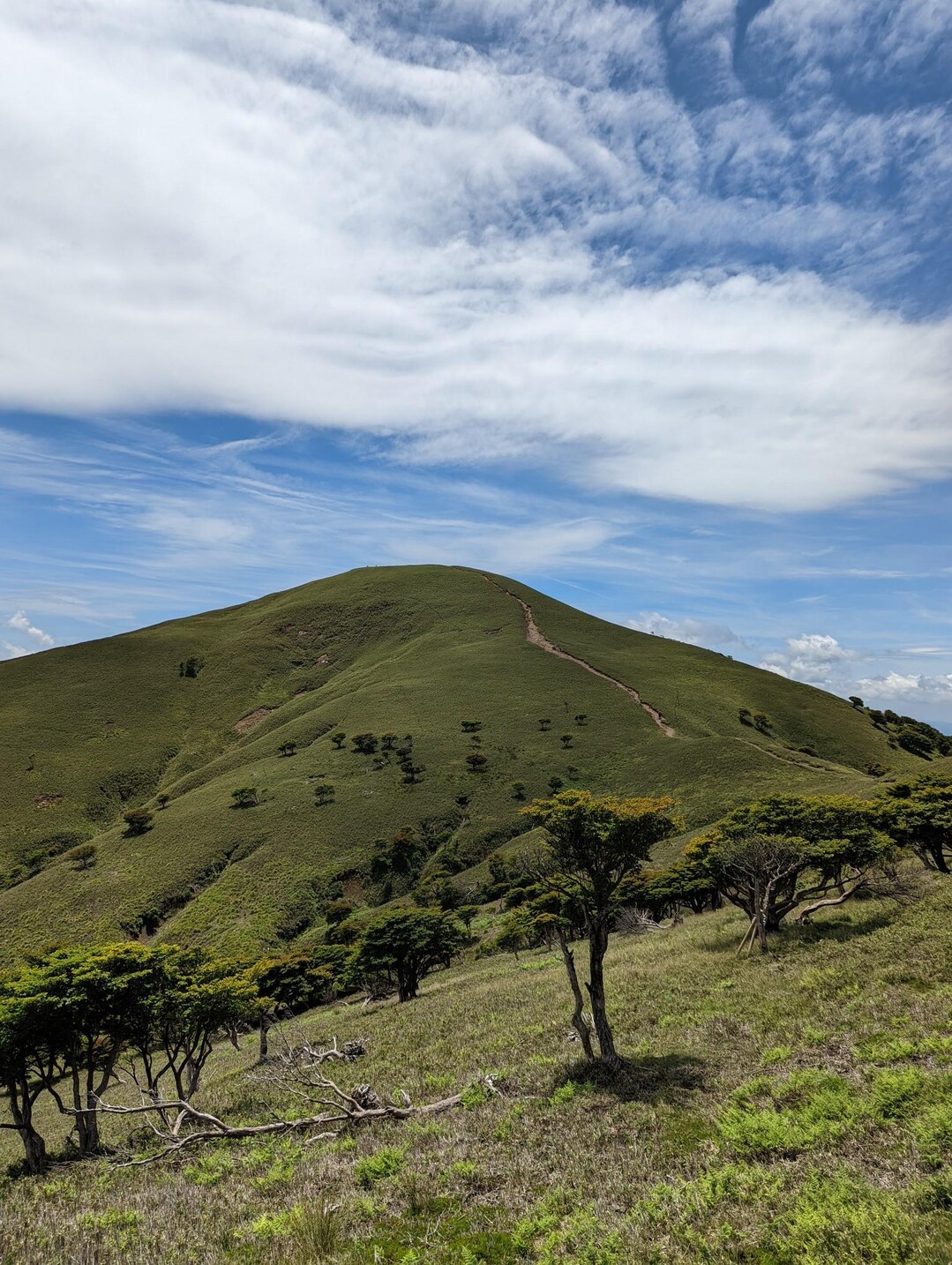 竜ヶ岳 / chika-B1さんの竜ヶ岳の活動データ | YAMAP / ヤマップ