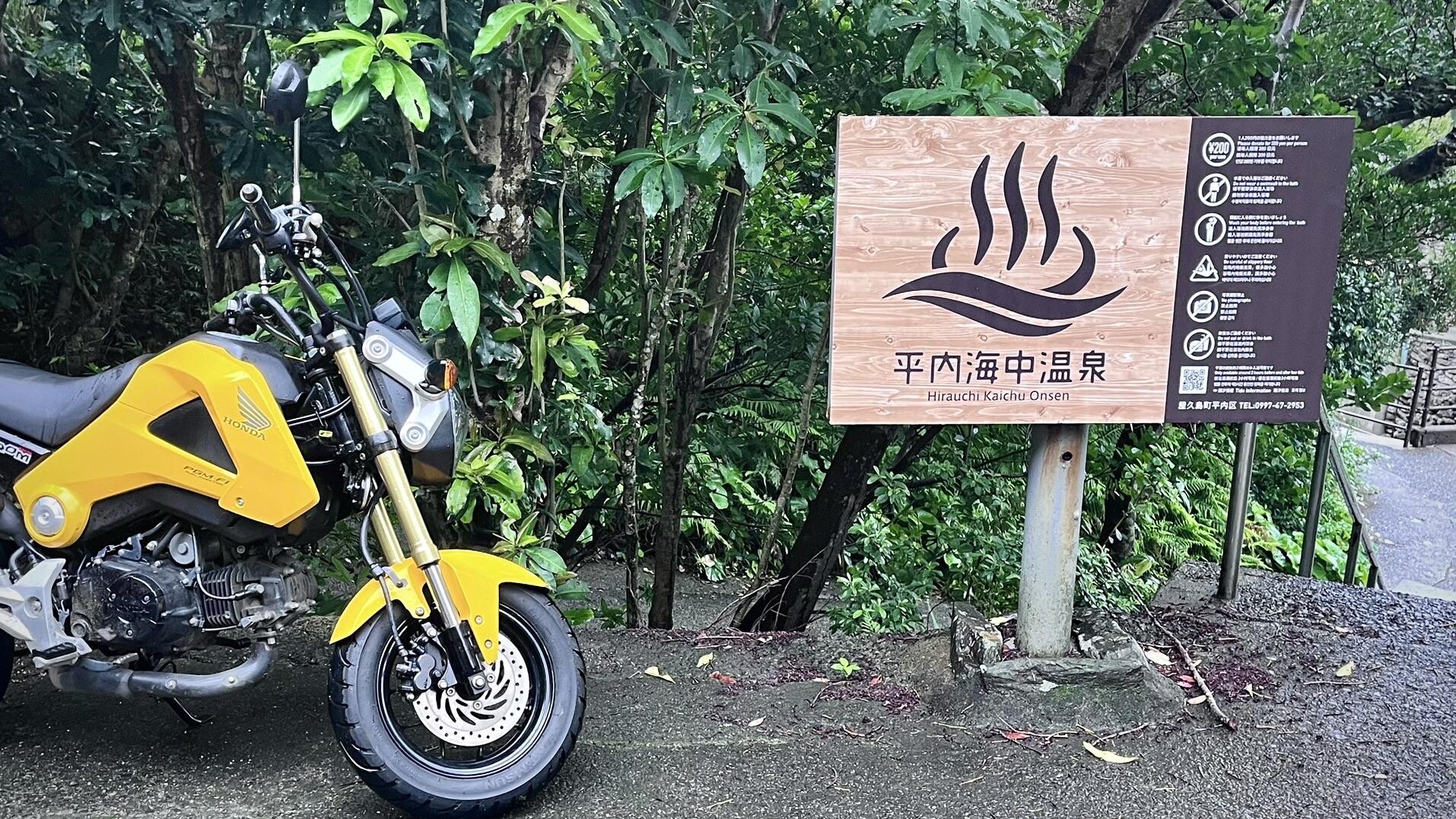 5月6日 屋久島4日目 最終日♨️ 本日... / 𝑺𝒕𝒂𝒓⭐️𝑪𝒓𝒐𝒔𝒔さんのモーメント | YAMAP / ヤマップ