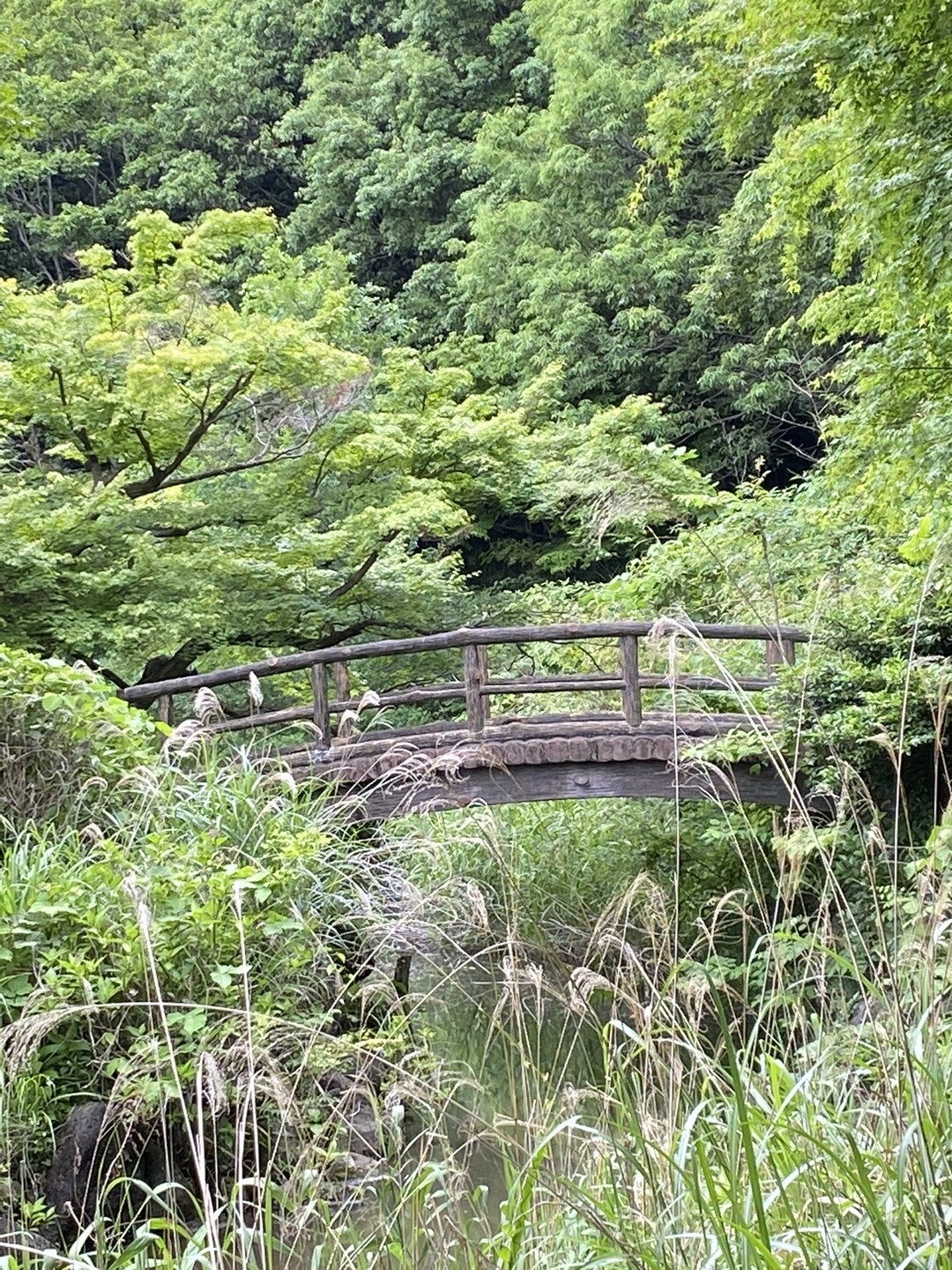 南大沢から長沼駅まで / manmaruさんの八王子市の活動データ | YAMAP / ヤマップ