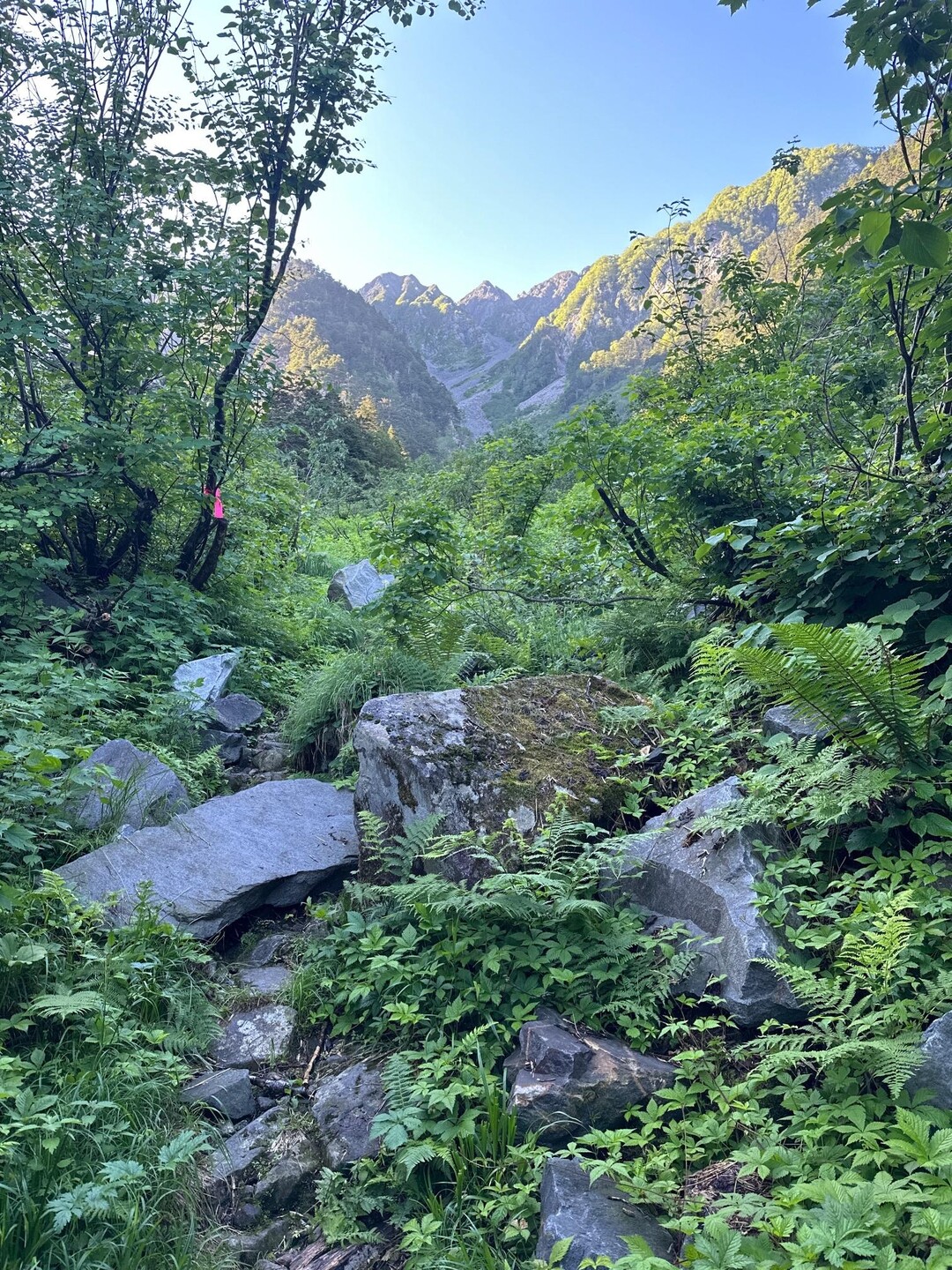 Jangers ジャンガースさんの投稿したフィールドメモ | YAMAP / ヤマップ