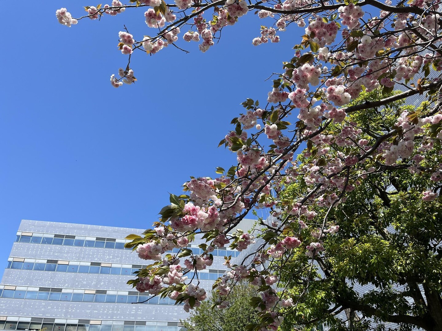 昨年1月の終わりにYAMAPを始めてから... / Rさんのモーメント | YAMAP / ヤマップ