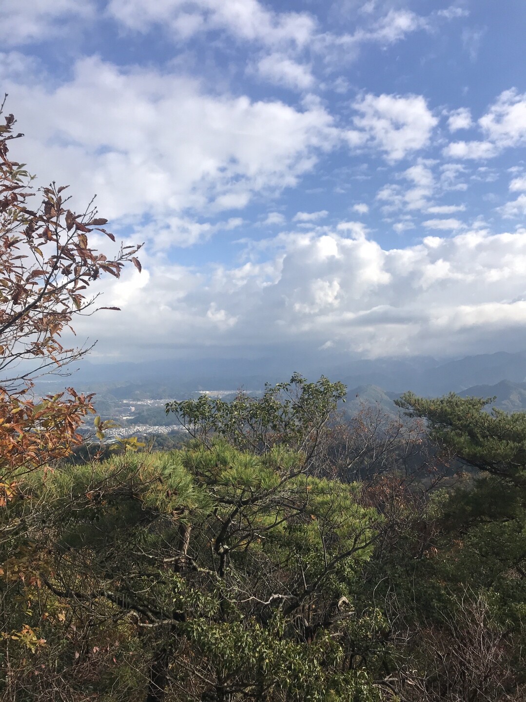 "想定外のアドベンチャー" 一徳防山〜南葛城山 / annpapaさんの岩湧山・一徳防山・三石山の活動データ | YAMAP / ヤマップ