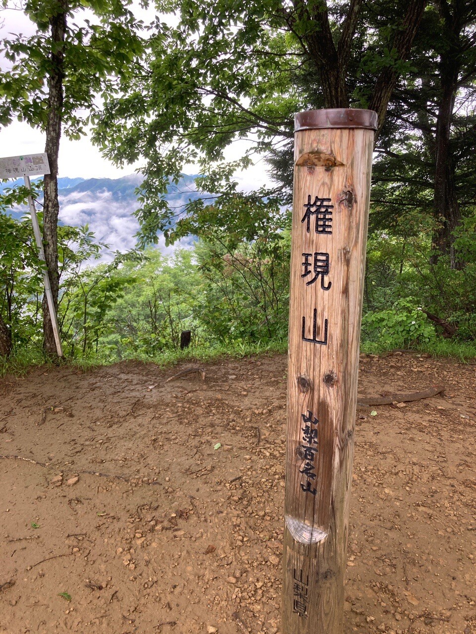 権現山 / explorerさんの権現山・奈良倉山の活動データ | YAMAP / ヤマップ