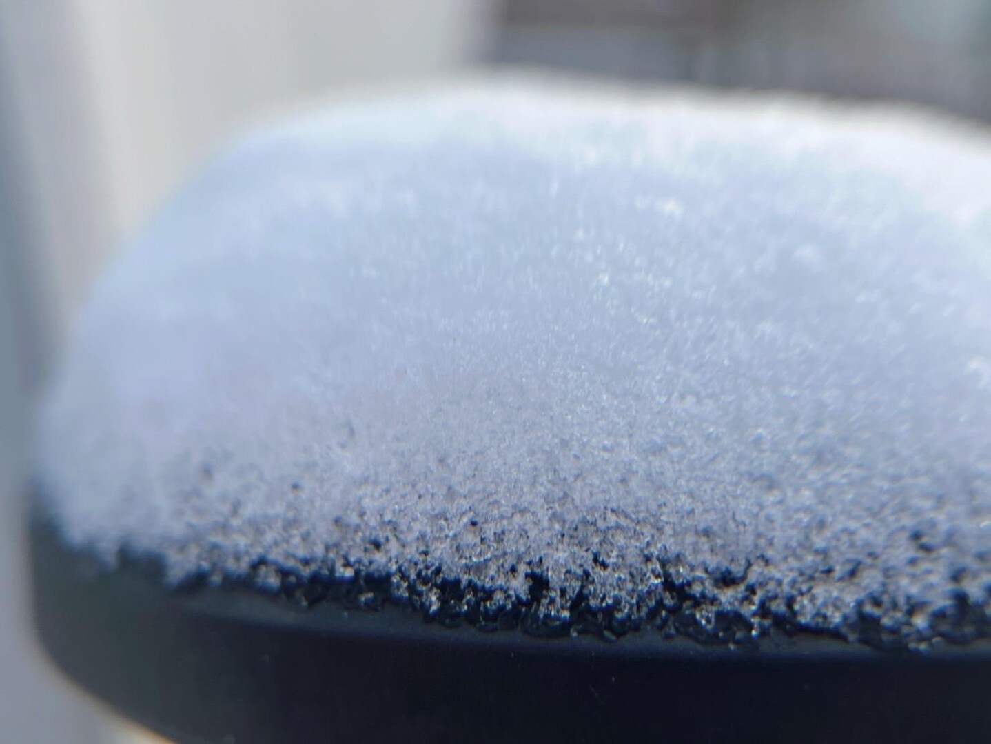 1）よく降りました ️ 2）多肉の“... / kazさんのモーメント | YAMAP / ヤマップ