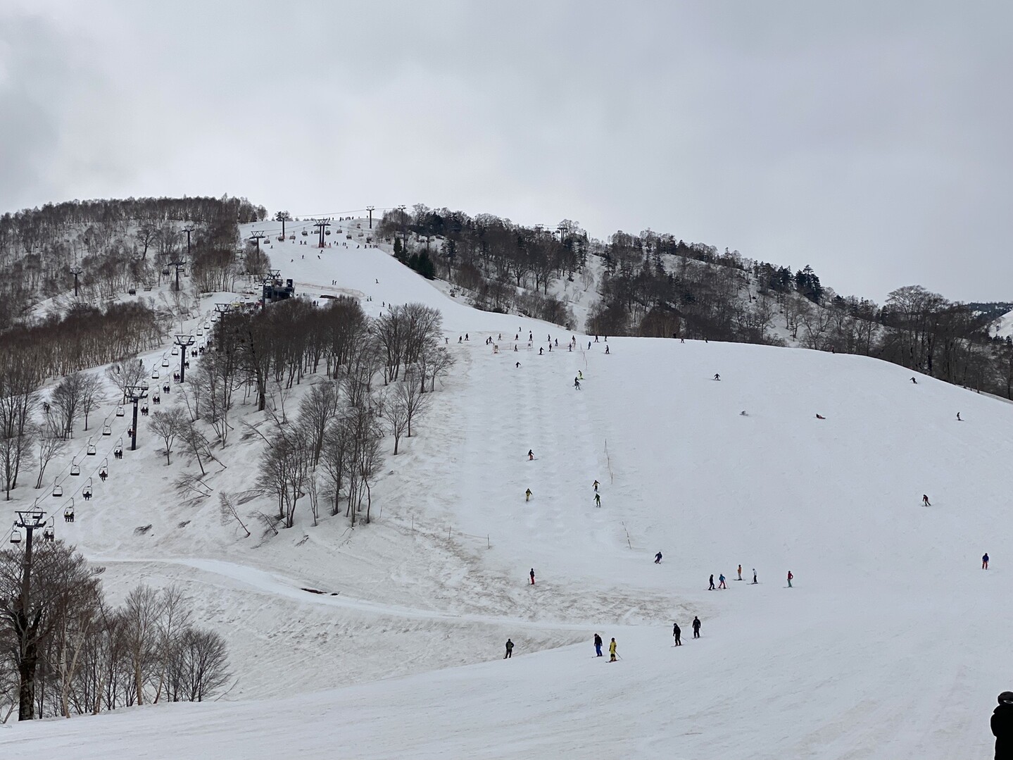 2022.4.24 シーズン48日目 @... / saraさんのモーメント | YAMAP / ヤマップ