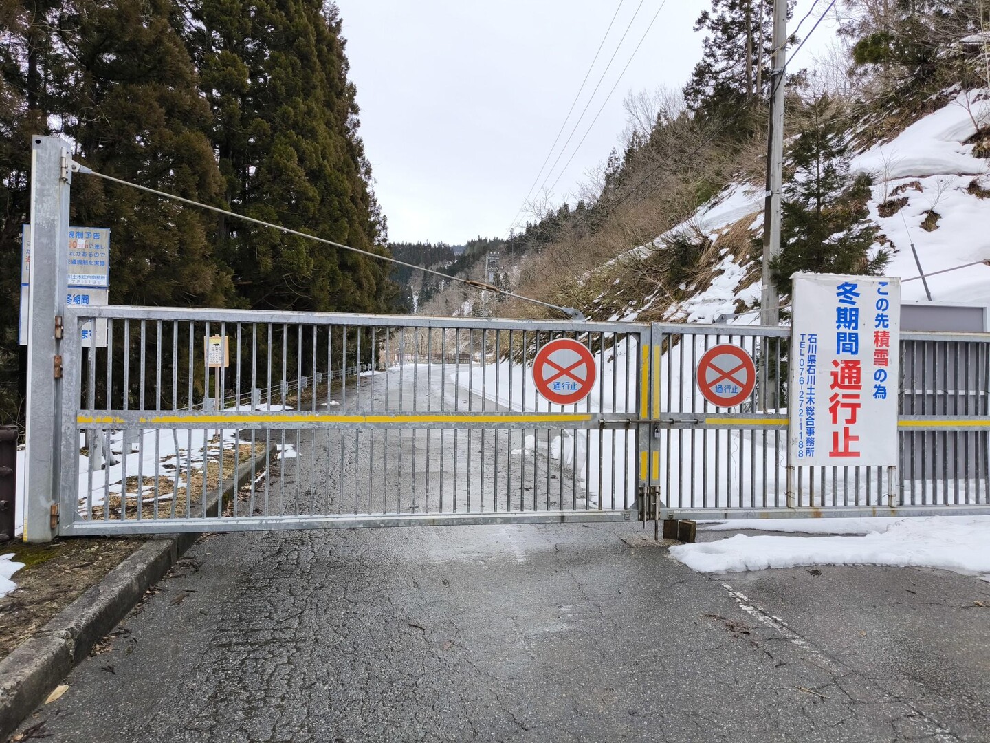 白山麓の林道散歩 / Housaさんの鳴谷山の活動データ | YAMAP / ヤマップ