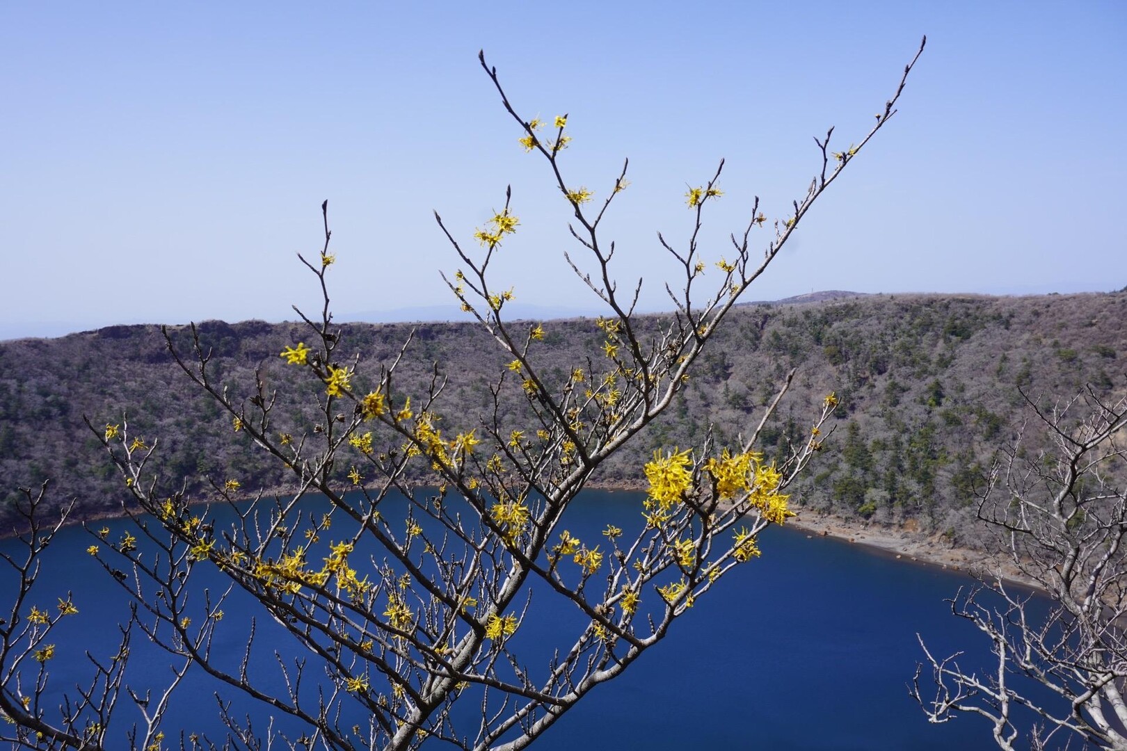 韓国岳（霧島山）・韓国岳北峰 / inurfaさんの霧島山・韓国岳・高千穂峰・夷守岳・烏帽子岳の活動データ | YAMAP / ヤマップ