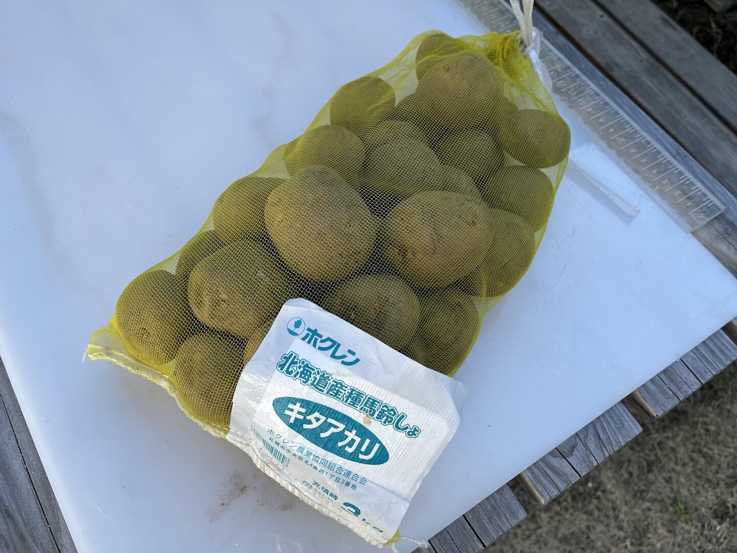 こんにちは☀️ 日向は、ポカポカですね... / harryさんのモーメント | YAMAP / ヤマップ