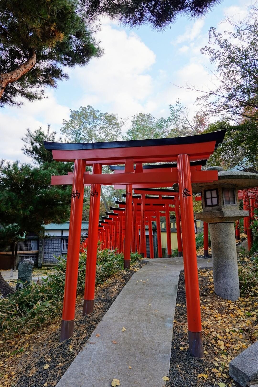 おかわりは流行りの船上山⛩️ / Chicoryさんの赤岩山の活動データ | YAMAP / ヤマップ