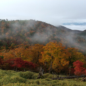 🚲️ママチャリでマメイチ / TAKA🗻⛺️さんの小豆島・星ヶ城山・皇踏山の活動データ | YAMAP / ヤマップ