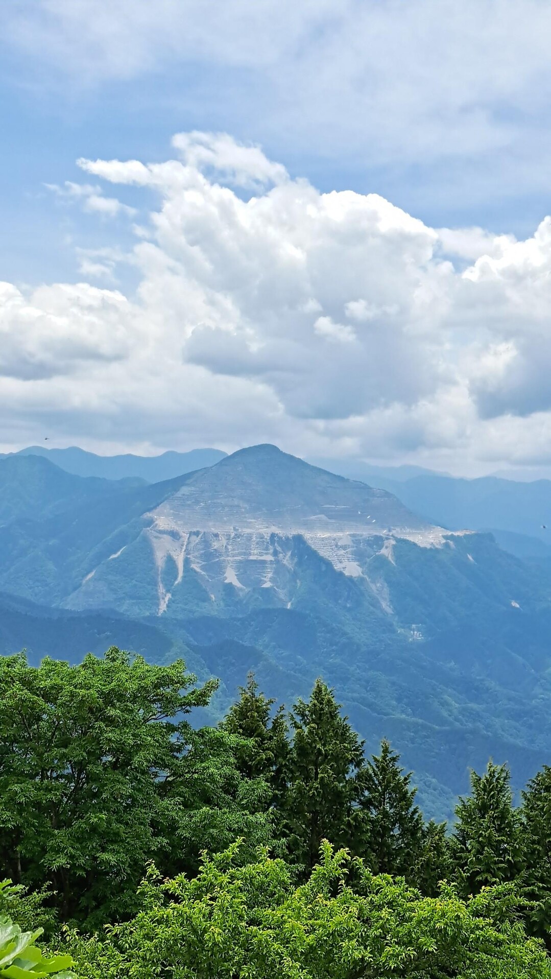 日向山・丸山 / str_0307さんの丸山の活動データ | YAMAP / ヤマップ