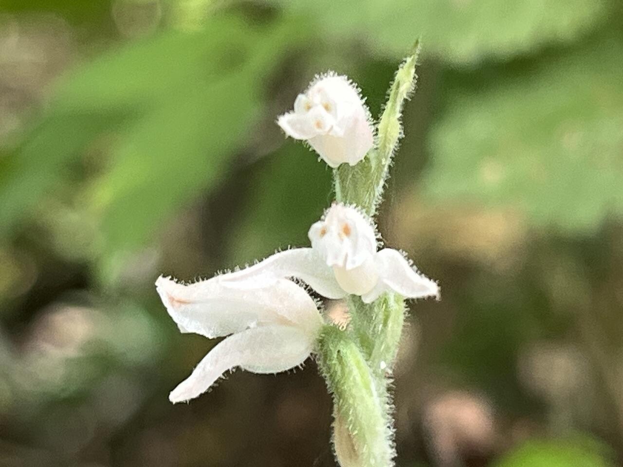 w823hのページ | YAMAP / ヤマップ