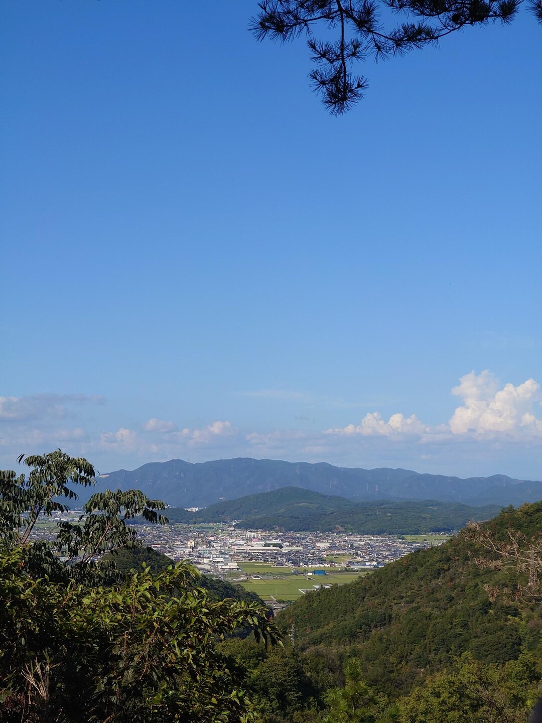 大雄山・雄久山・ダンガメ山・松山 / namiさんのダンガメ山・大雄山・おくの細道アルプスの活動データ | YAMAP / ヤマップ