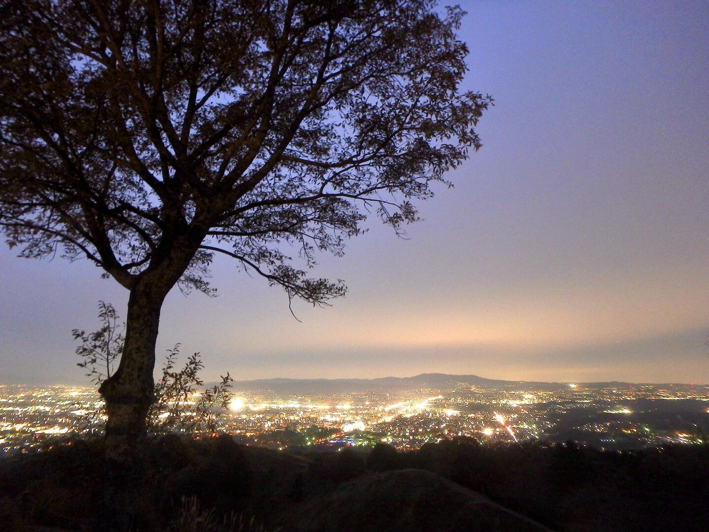 この前の活動記録で、若草山の夜が綺麗～っ... / Lacbleuさんのモーメント | YAMAP / ヤマップ