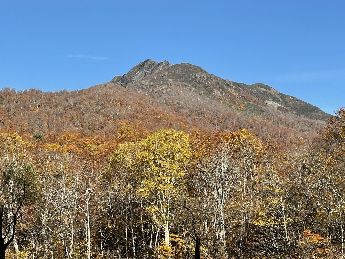 Don't ウォーリー be happy ️大渚山🍁⠜ / かずみさんの雨飾山・大渚山・天狗原山・戸倉山の活動データ | YAMAP / ヤマップ