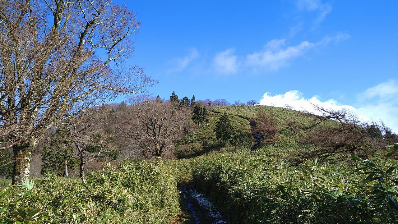 船木山・後山・鍋ヶ谷山・駒の尾山 / LIONさんの後山・船木山・駒の尾山の活動データ | YAMAP / ヤマップ