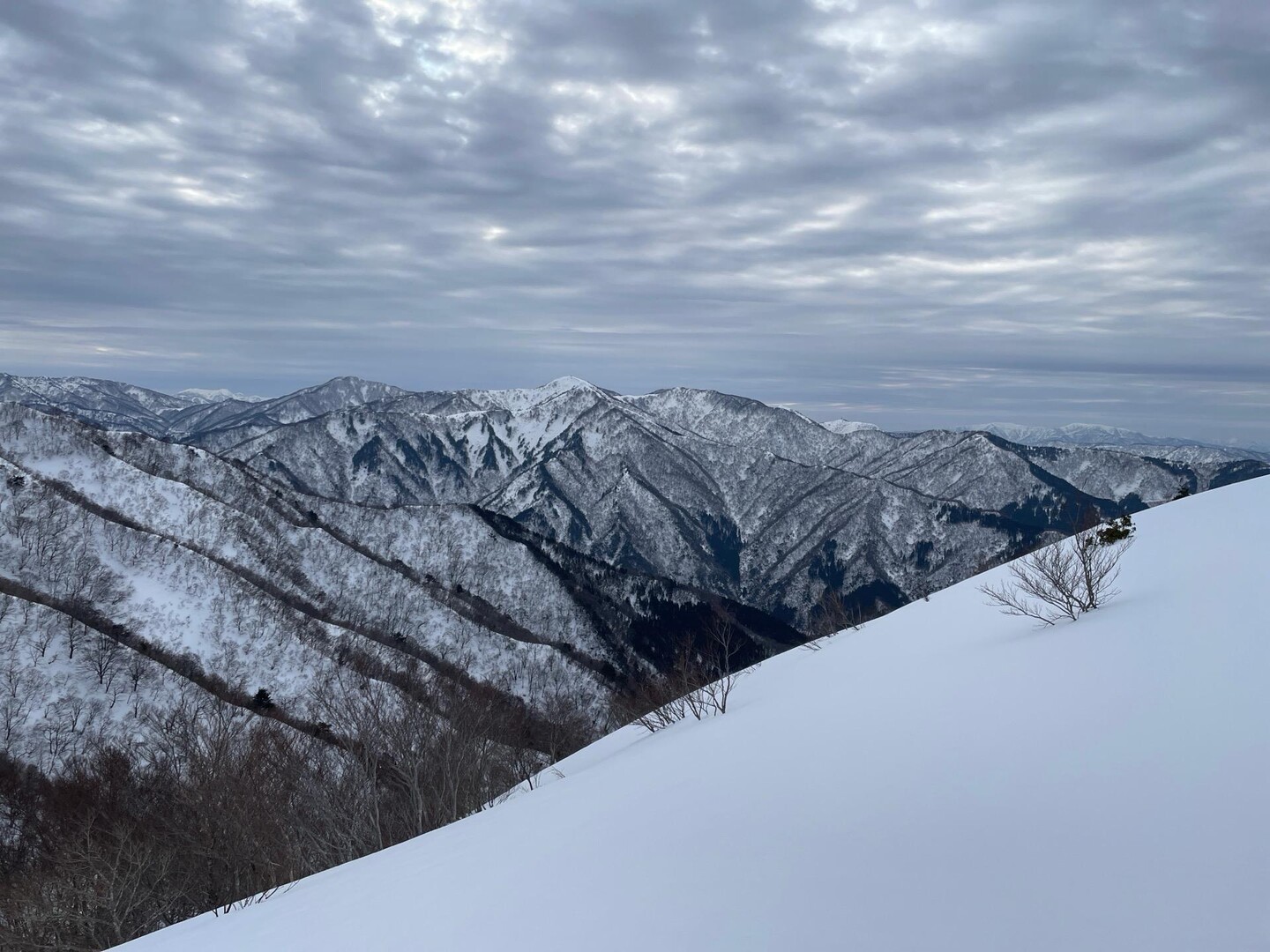 超絶景！！ 2025/2/2（日）8:5... / JOG太郎さんのモーメント | YAMAP / ヤマップ