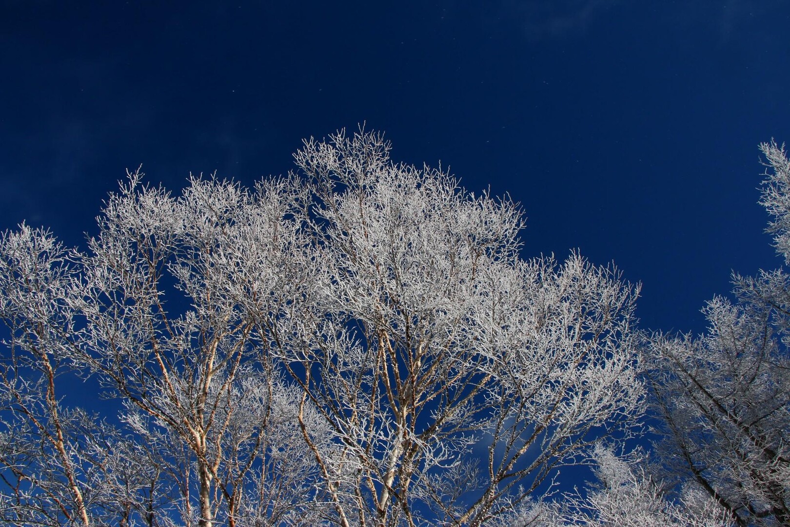 小雪からの～👋😆🎶 / KOH-Chanさんの湯ノ丸山・角間山・鍋蓋山の活動データ | YAMAP / ヤマップ