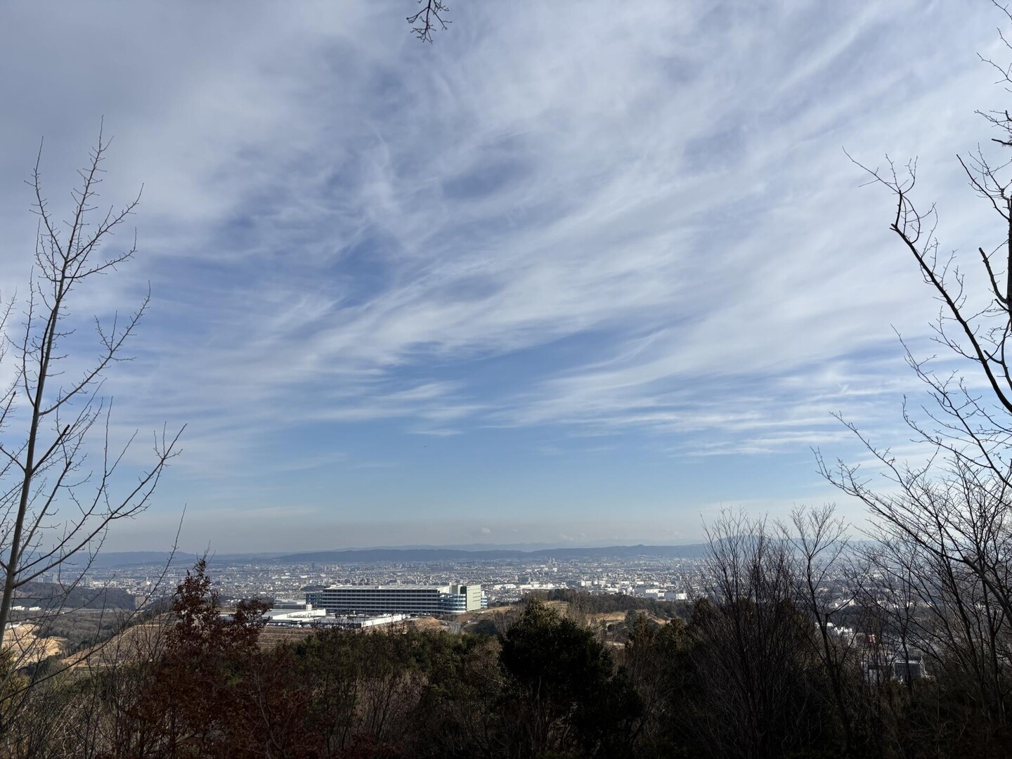鉢伏山 / KITさんの竜王山・阿武山の活動データ | YAMAP / ヤマップ